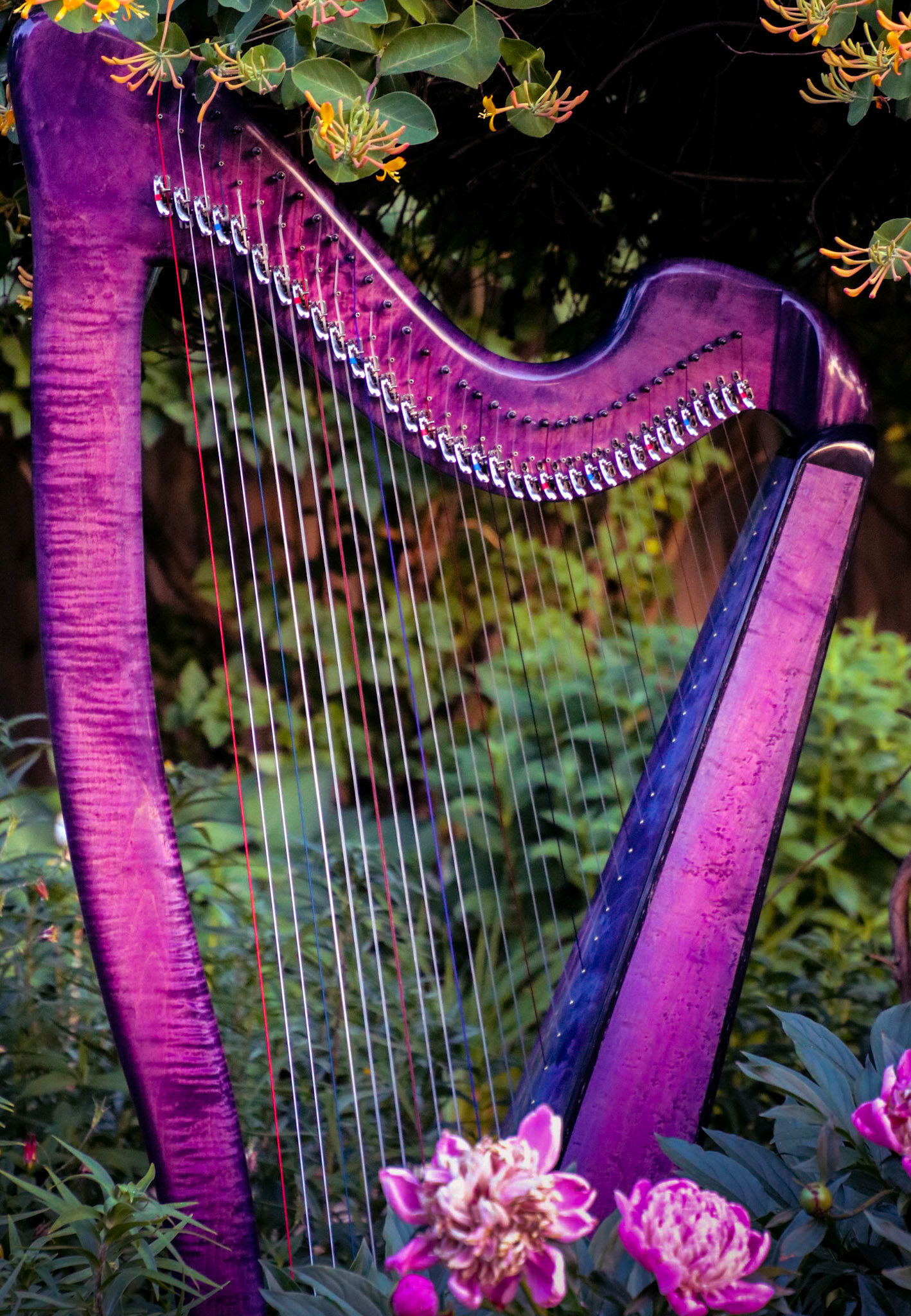 Musicmakers Harp Galleries - Galaxy Purple