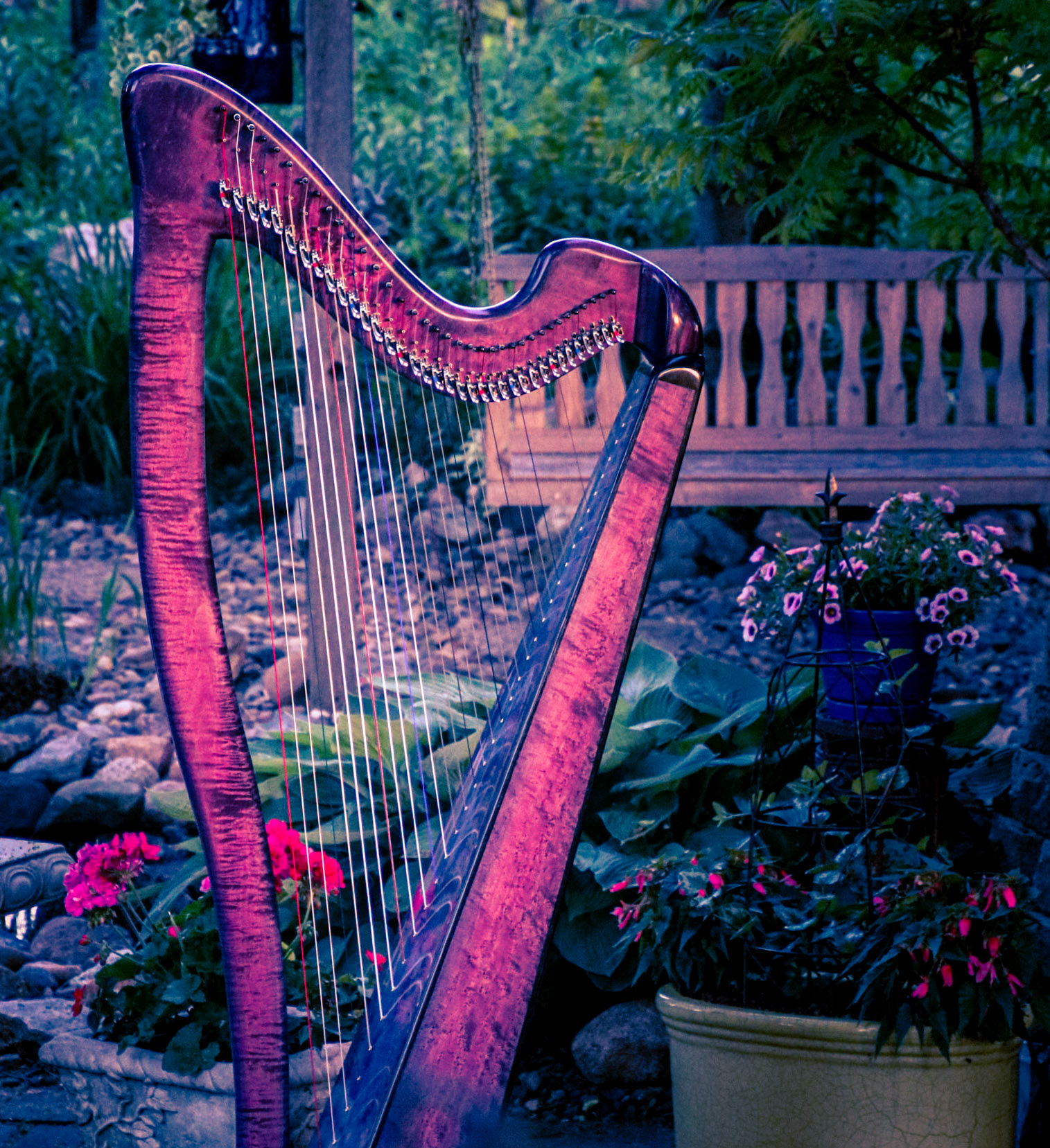 Musicmakers Harp Galleries - Galaxy Purple