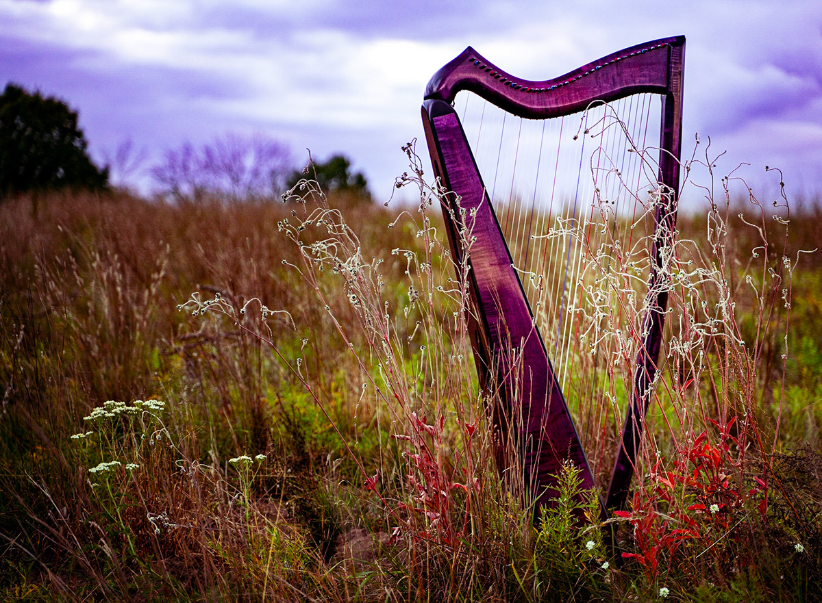Musicmakers Harp Galleries - Galaxy Purple