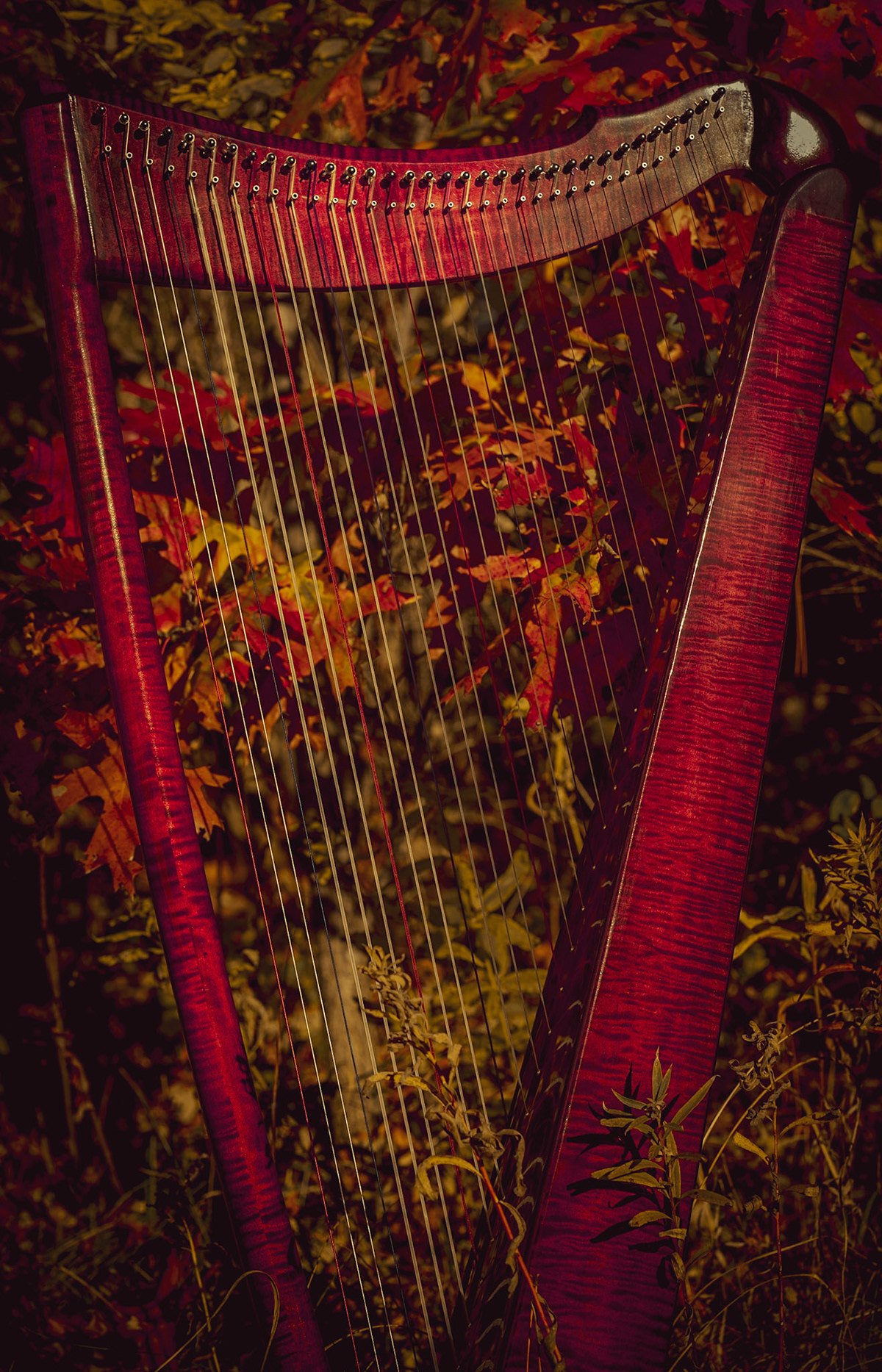 Musicmakers Harp Galleries - Autumn Red