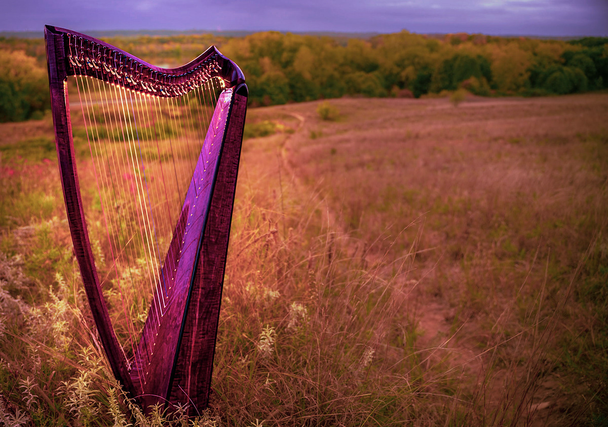 Musicmakers Harp Galleries - Galaxy Purple