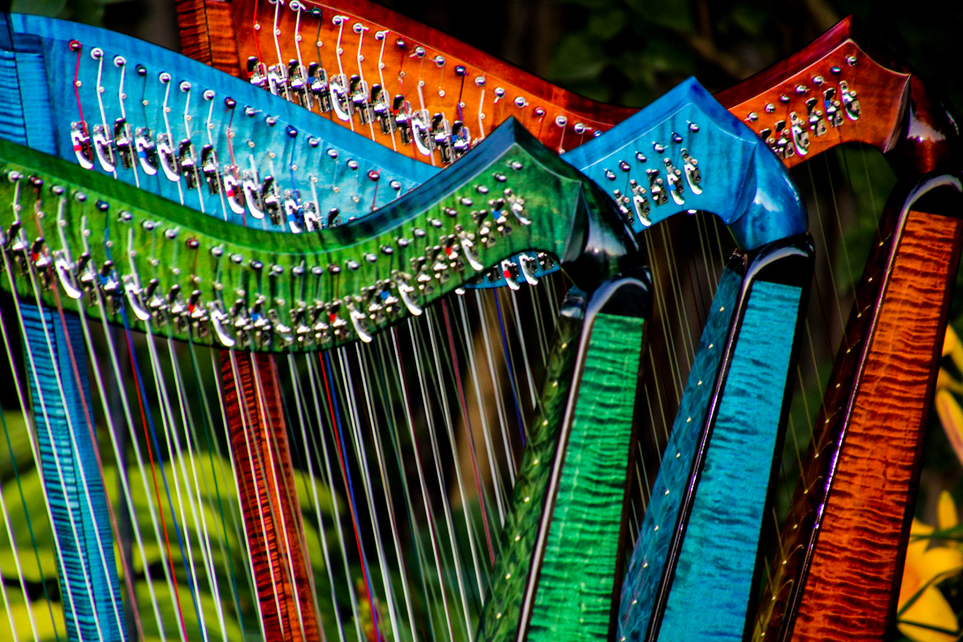 Musicmakers Harp Galleries - Vivid Color Group