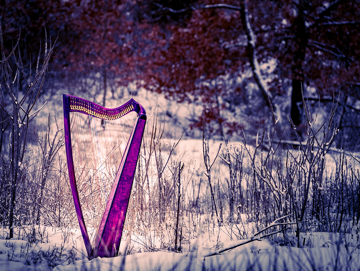 Musicmakers Harp Galleries - Galaxy Purple