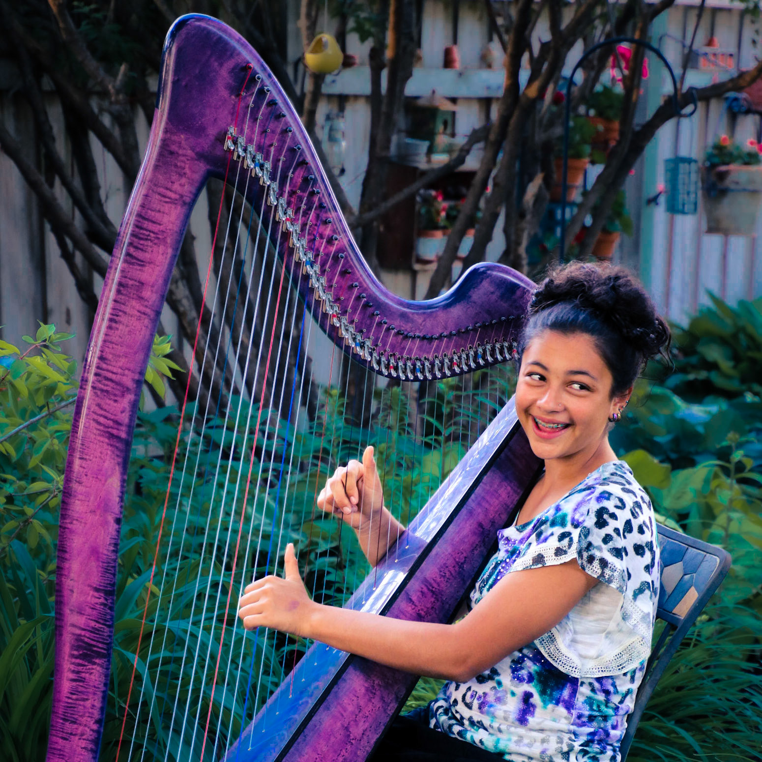 Musicmakers Harp Galleries - Galaxy Purple