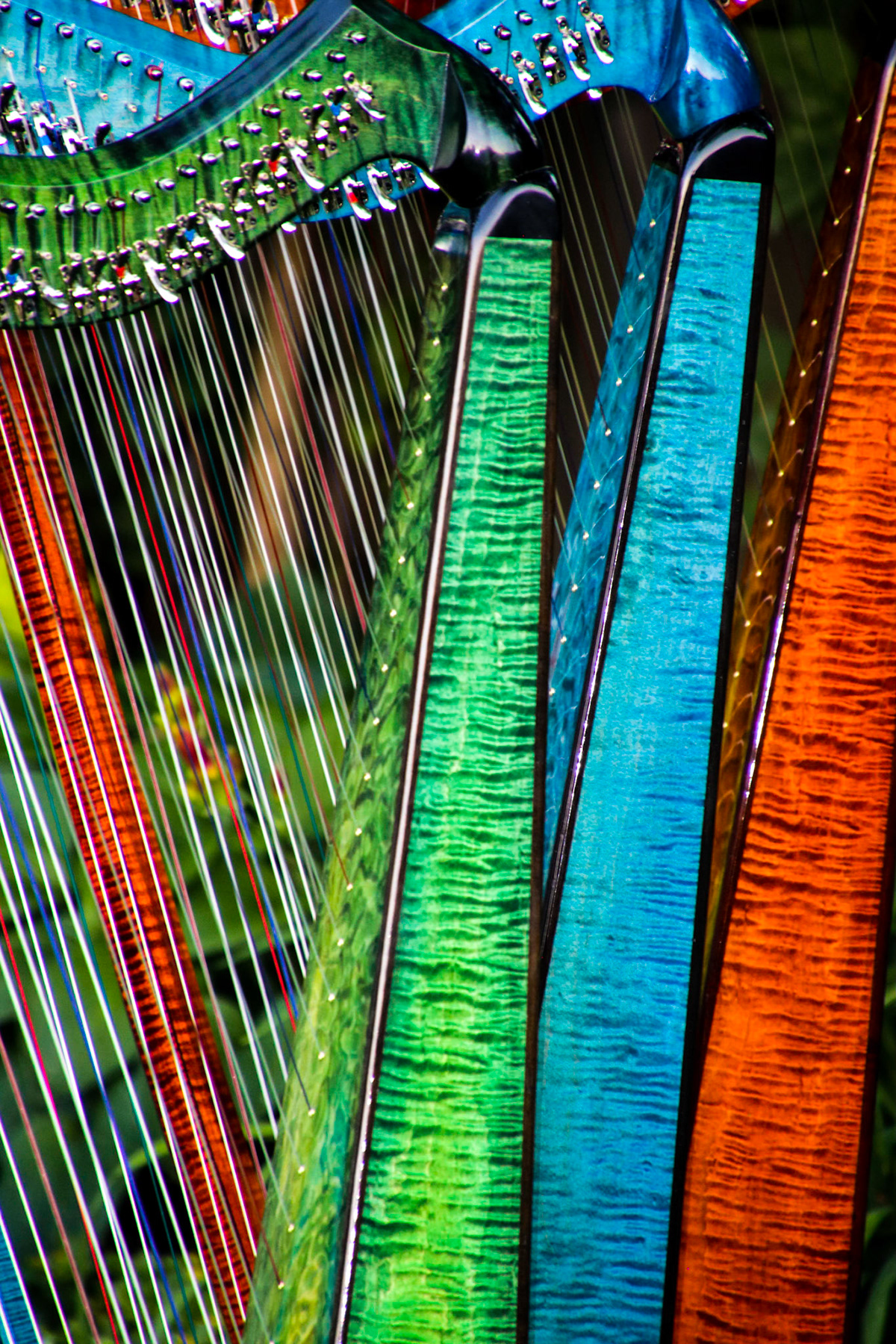Musicmakers Harp Galleries - Vivid Color Group