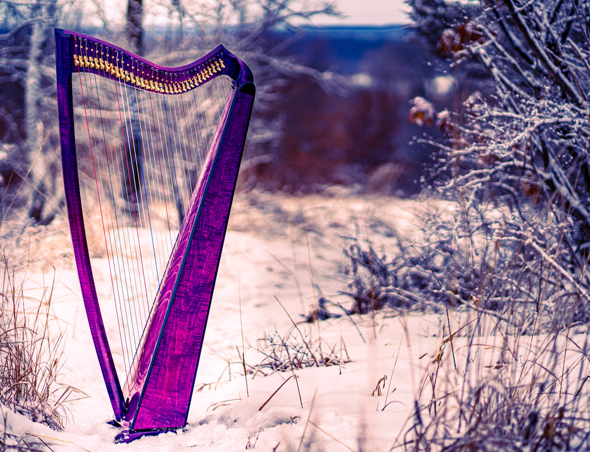 Musicmakers Harp Galleries - Galaxy Purple