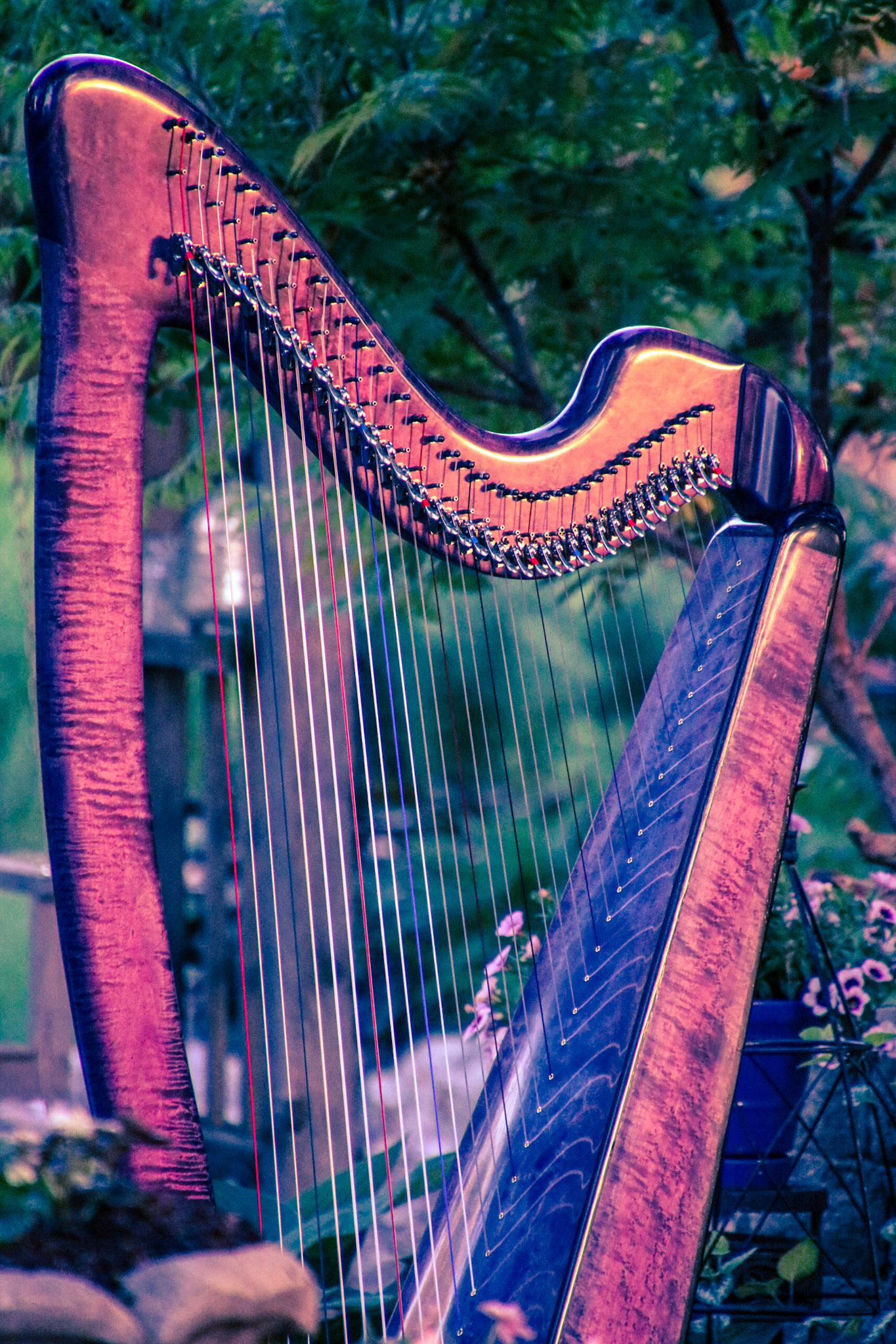 Musicmakers Harp Galleries - Galaxy Purple
