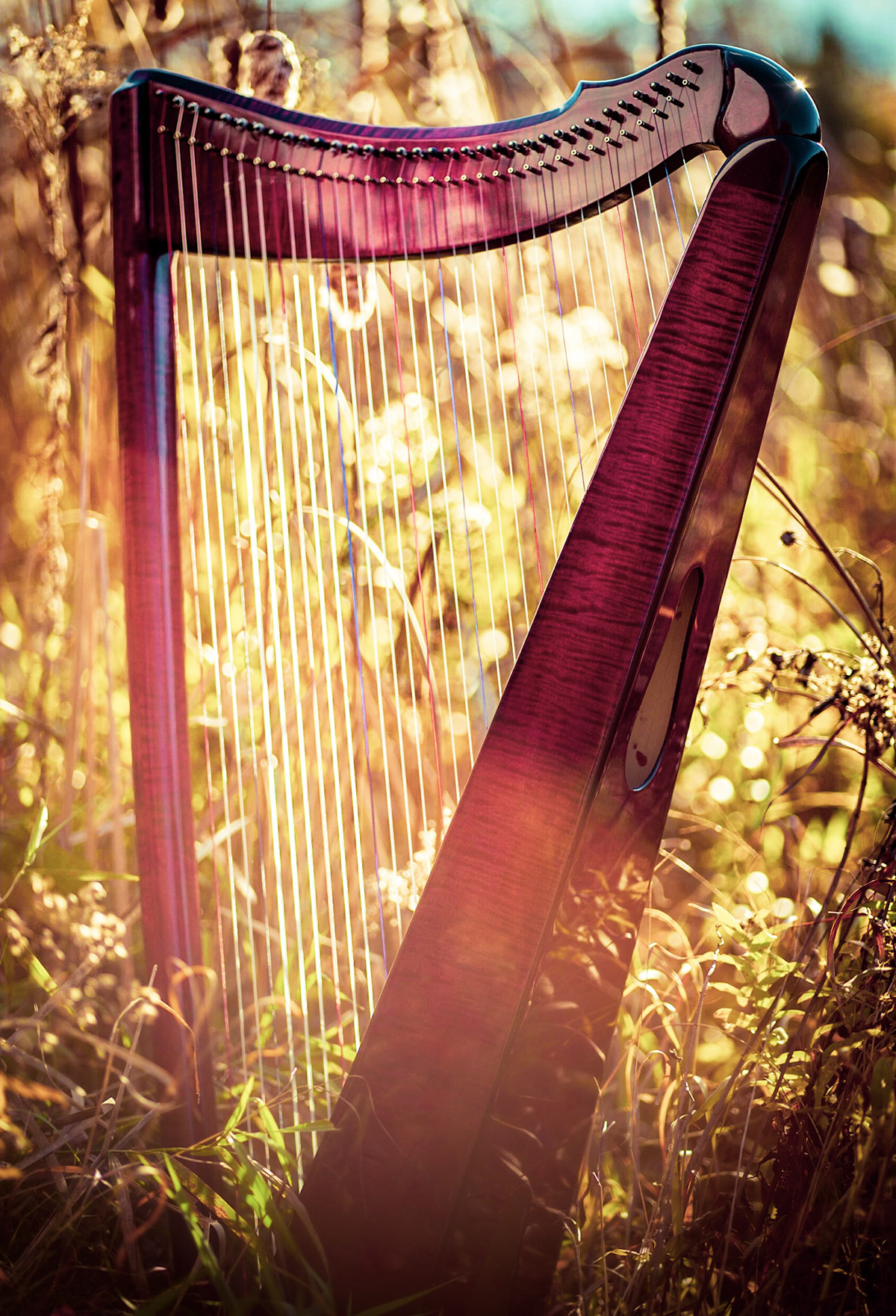 Musicmakers Harp Galleries - Autumn Red