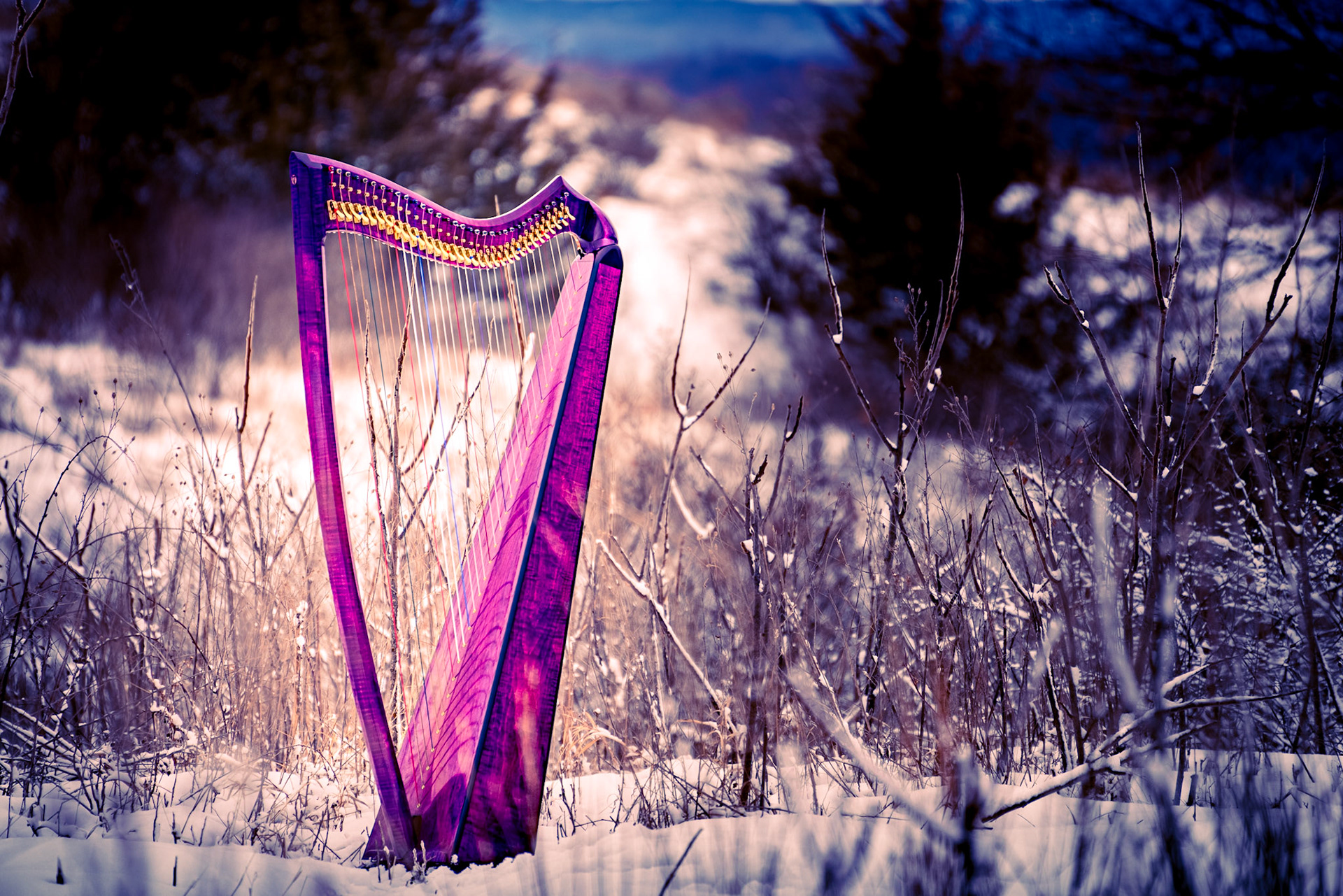 Musicmakers Harp Galleries - Galaxy Purple