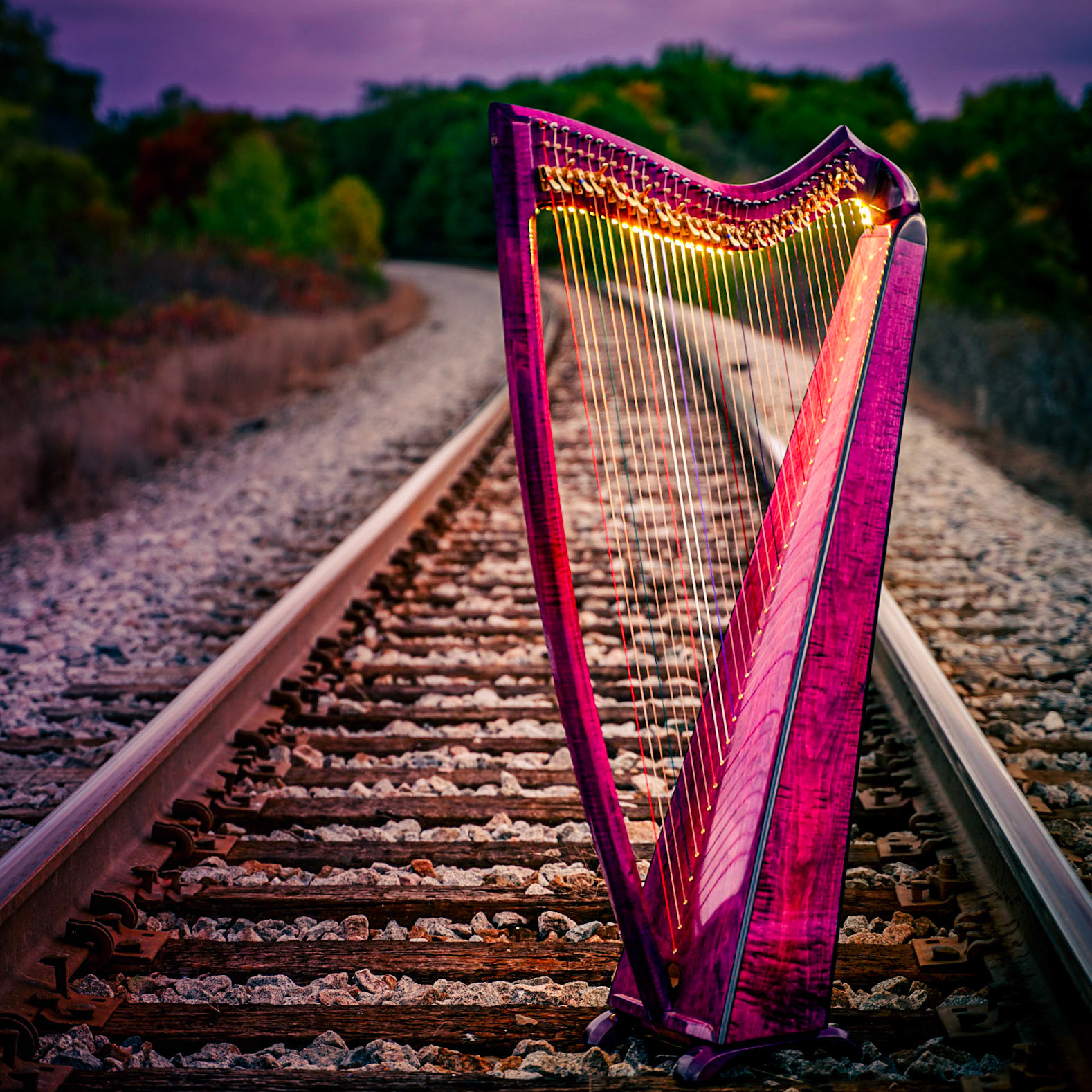 Musicmakers Harp Galleries - Galaxy Purple