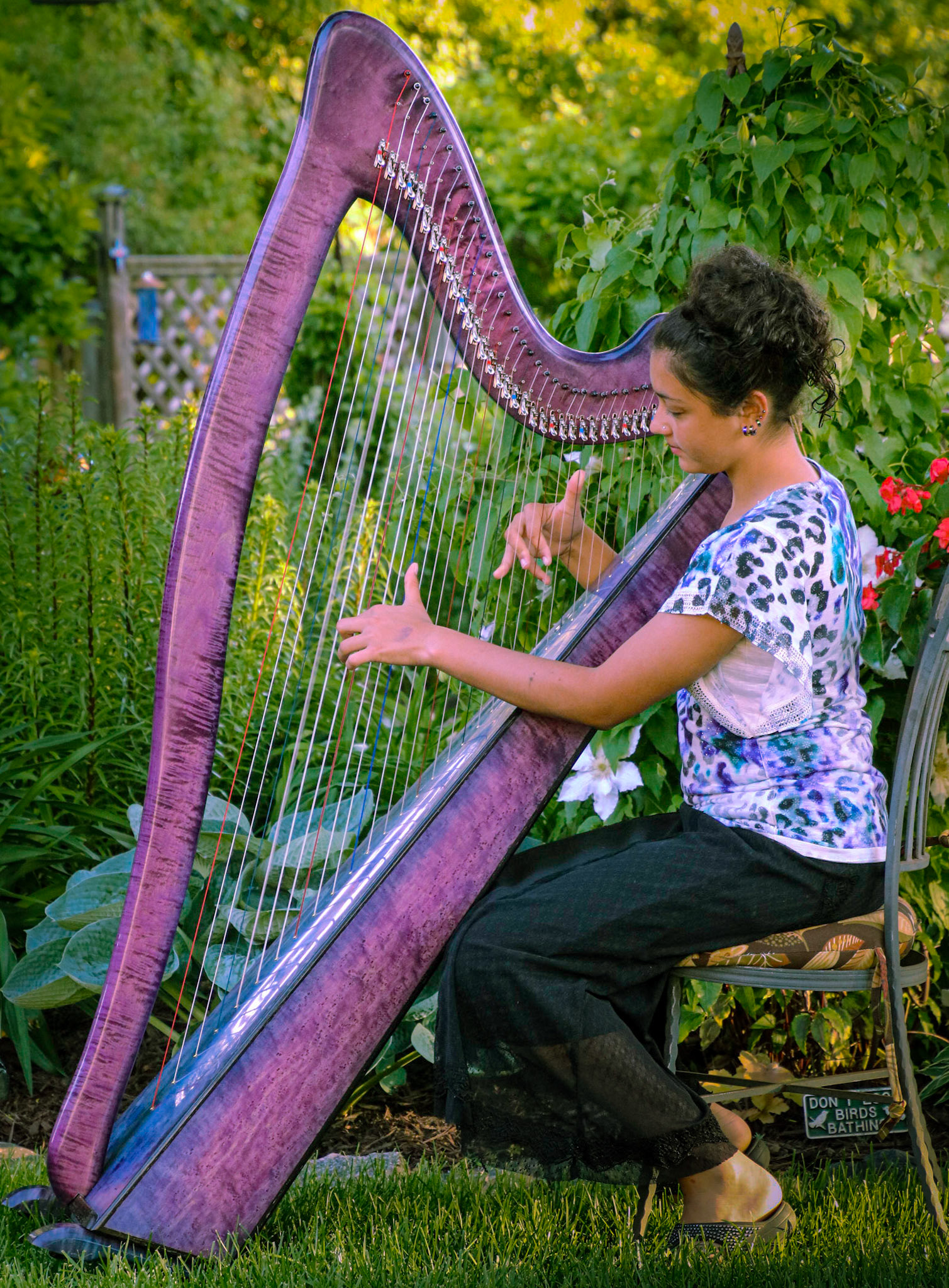 Musicmakers Harp Galleries - Galaxy Purple