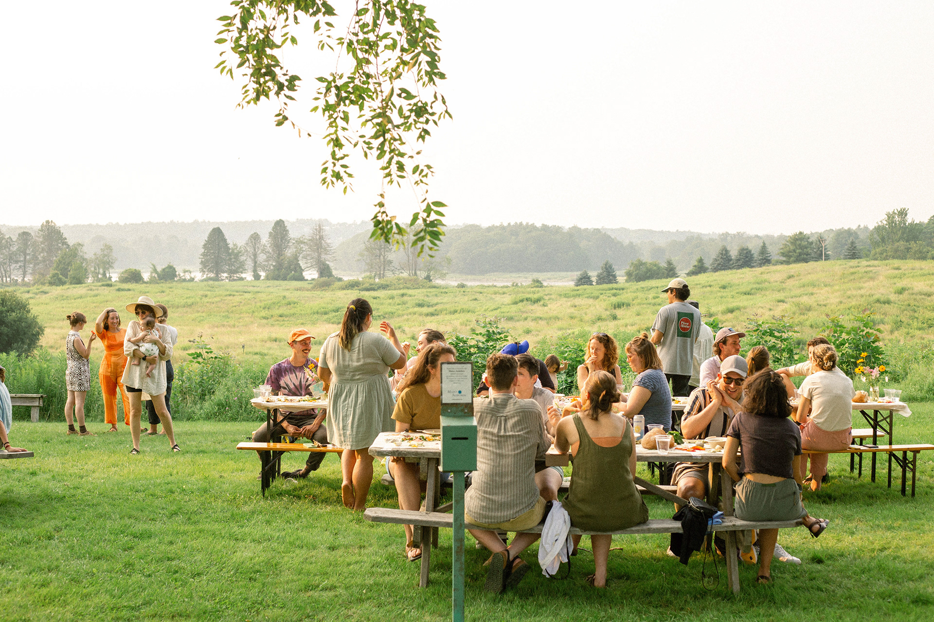 Jenny Ibsen - fish picnic