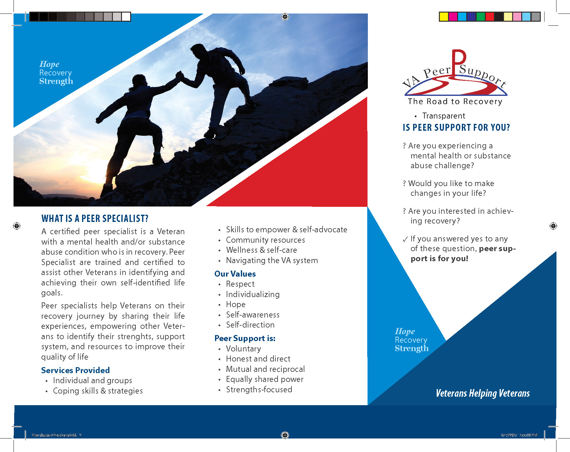 Brandy Sims, Visual Information Specialist - RHJVAMC | Peer Support ...