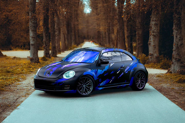 Frank Ricci Design - [VW Beetle] Beetle GTS