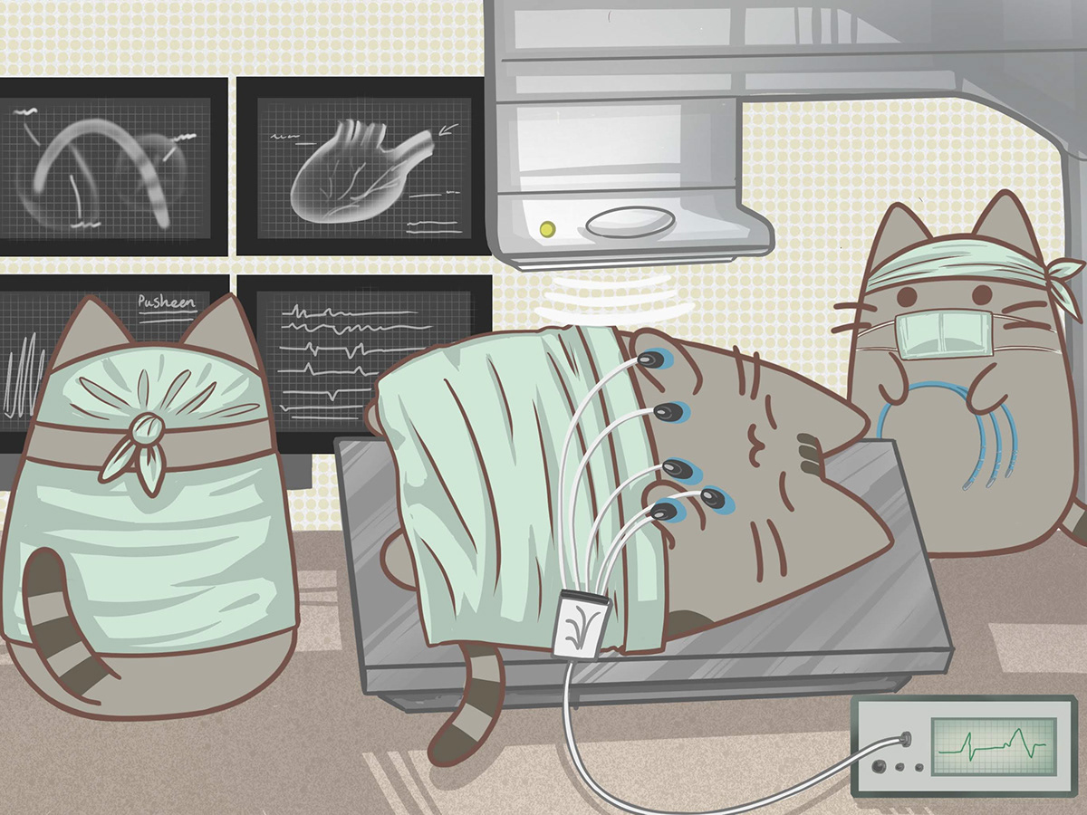 Kelly Stanford - Science Communicator and Artist - Science Pusheen