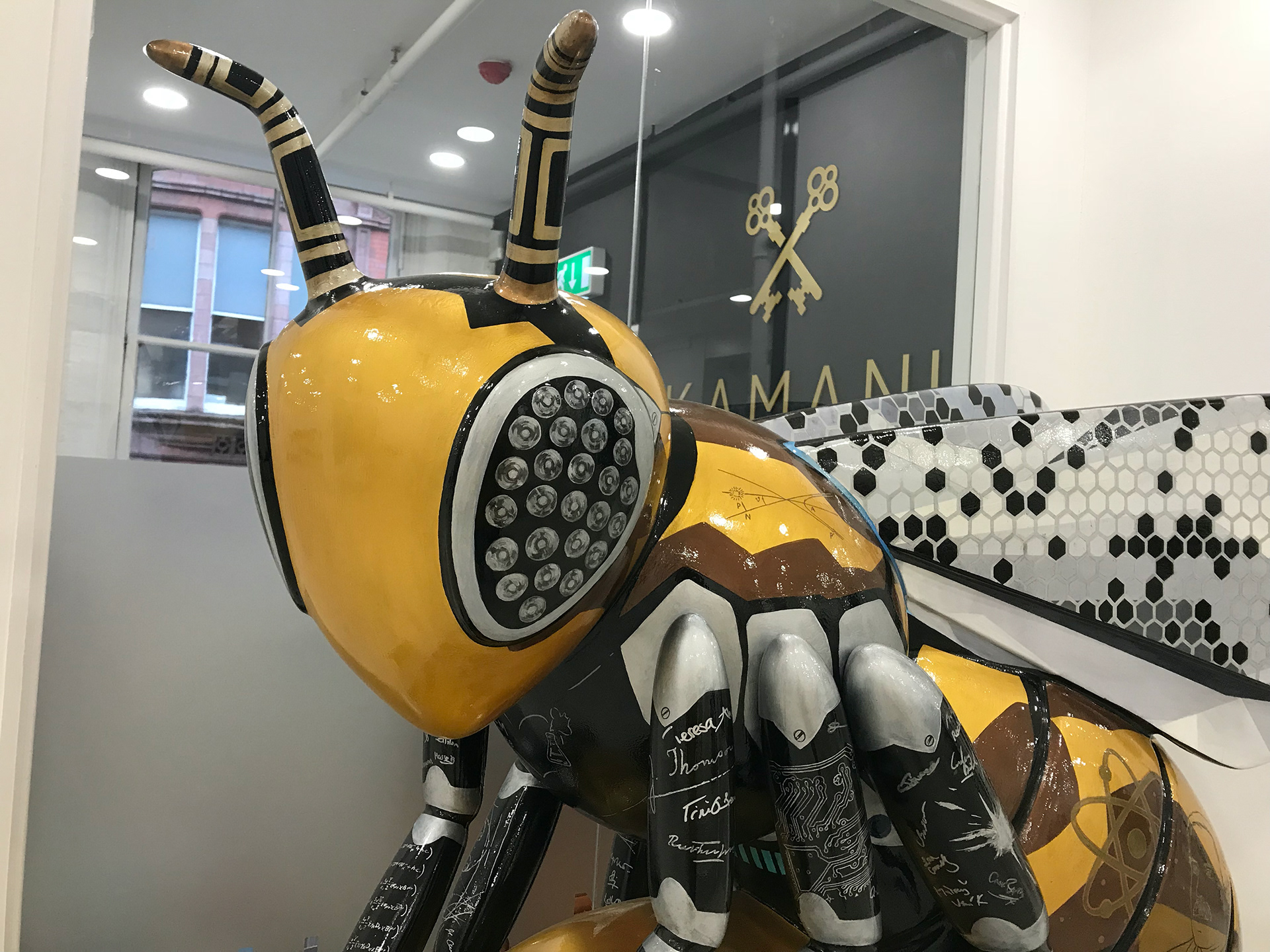Kelly Stanford - Science Communicator and Artist - STEM Bee