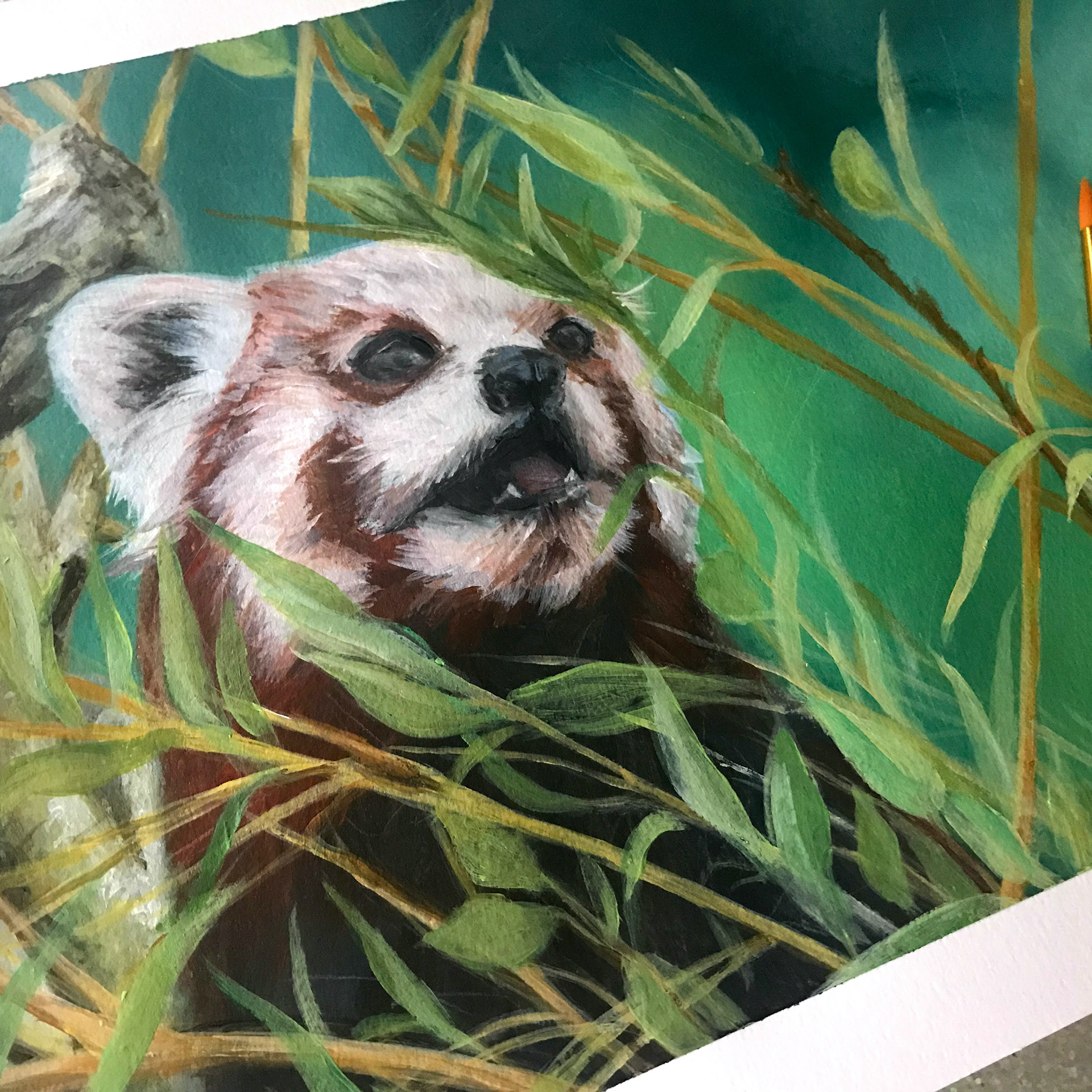 Kelly Stanford - Science Communicator and Artist