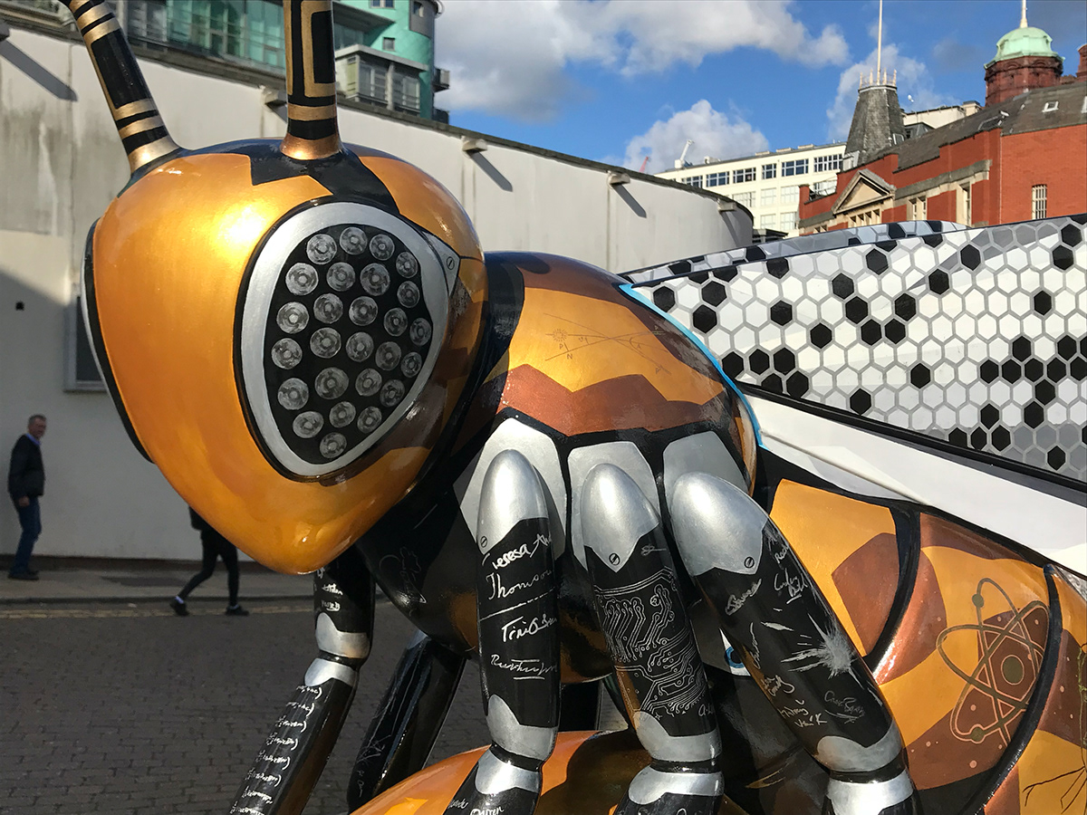 Kelly Stanford - Science Communicator and Artist - STEM Bee