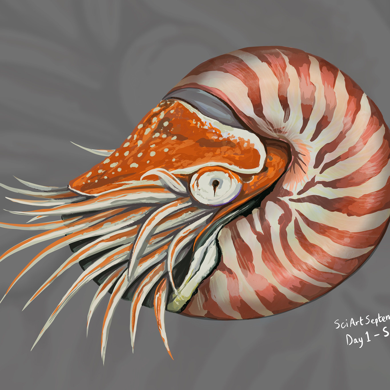 Kelly Stanford - Science Communicator and Artist - Hyper realistic ...