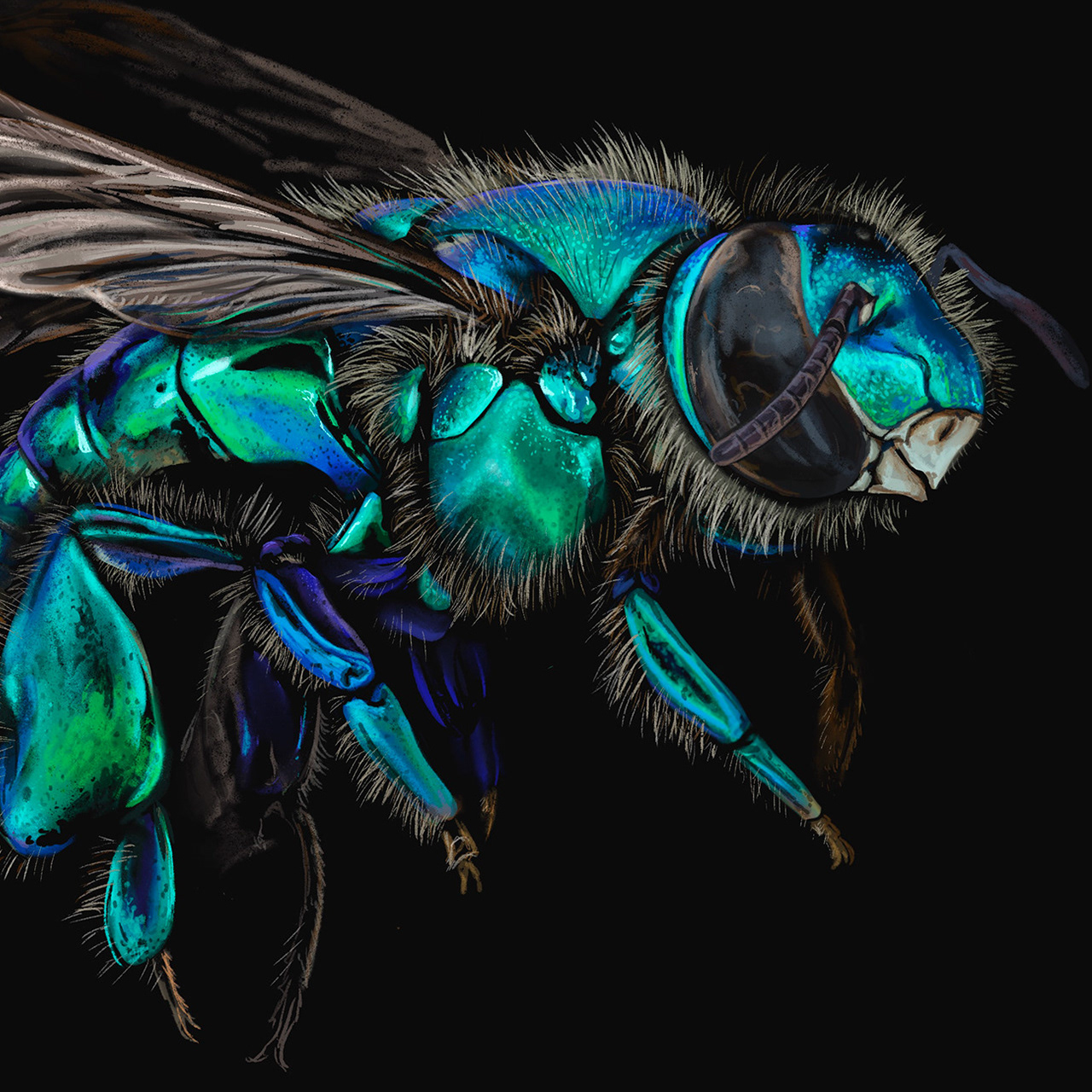 Kelly Stanford - Science Communicator and Artist