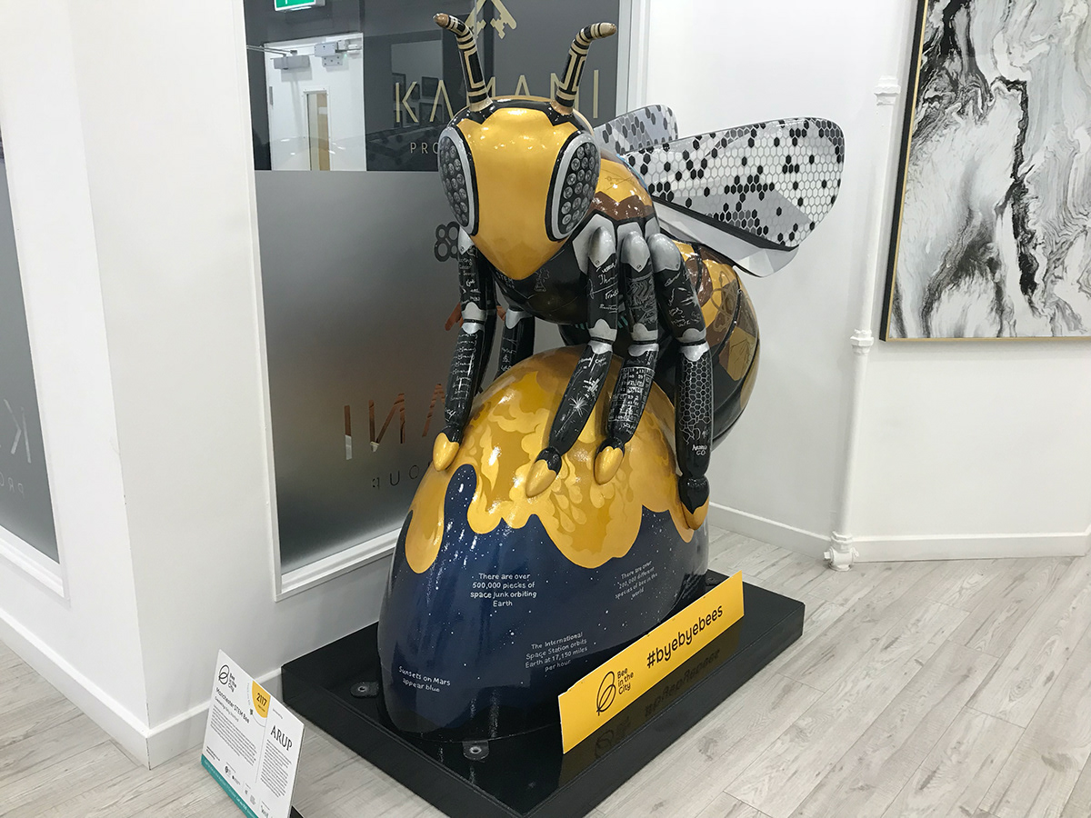 Kelly Stanford - Science Communicator and Artist - STEM Bee