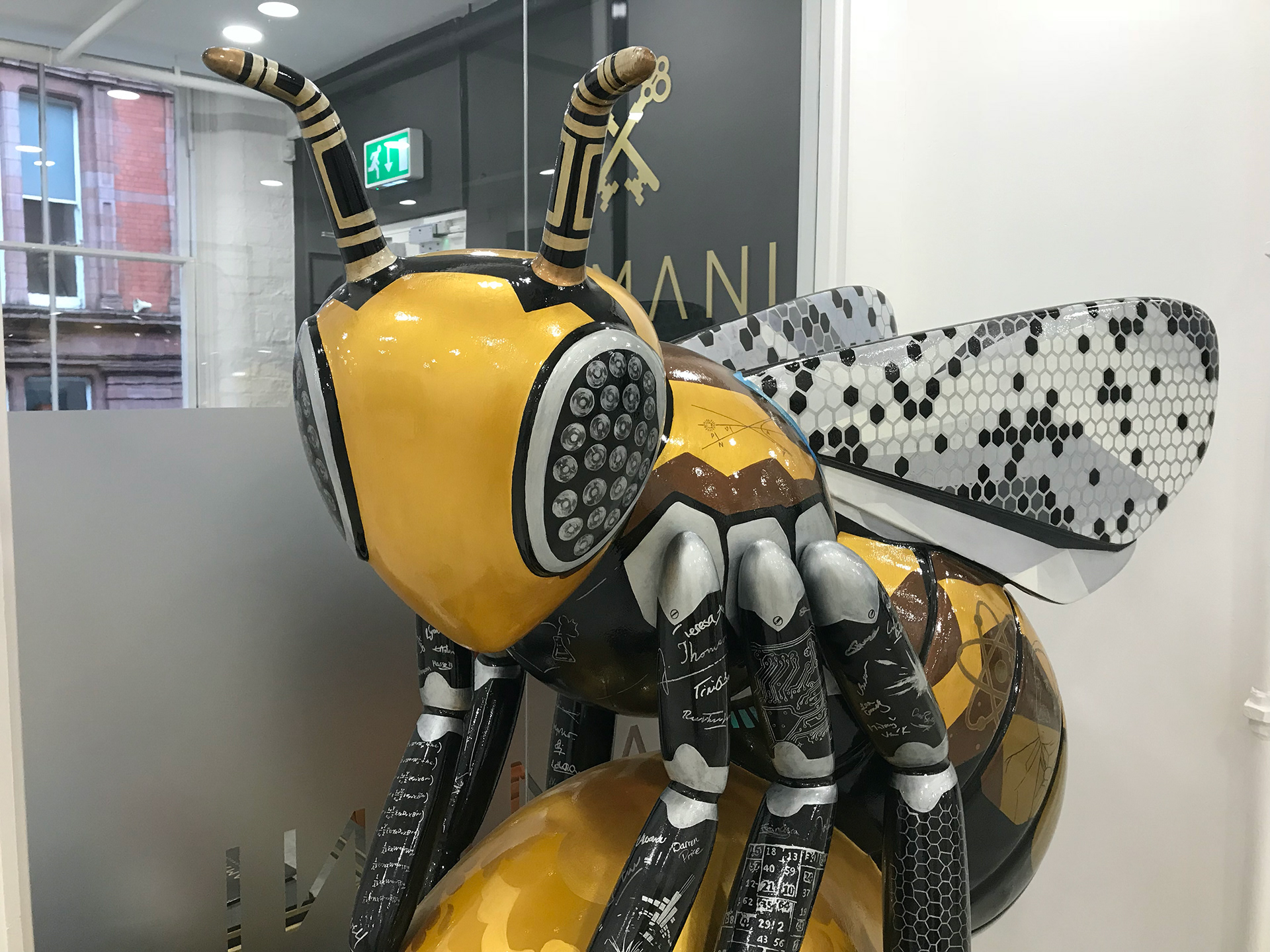 Kelly Stanford - Science Communicator and Artist - STEM Bee