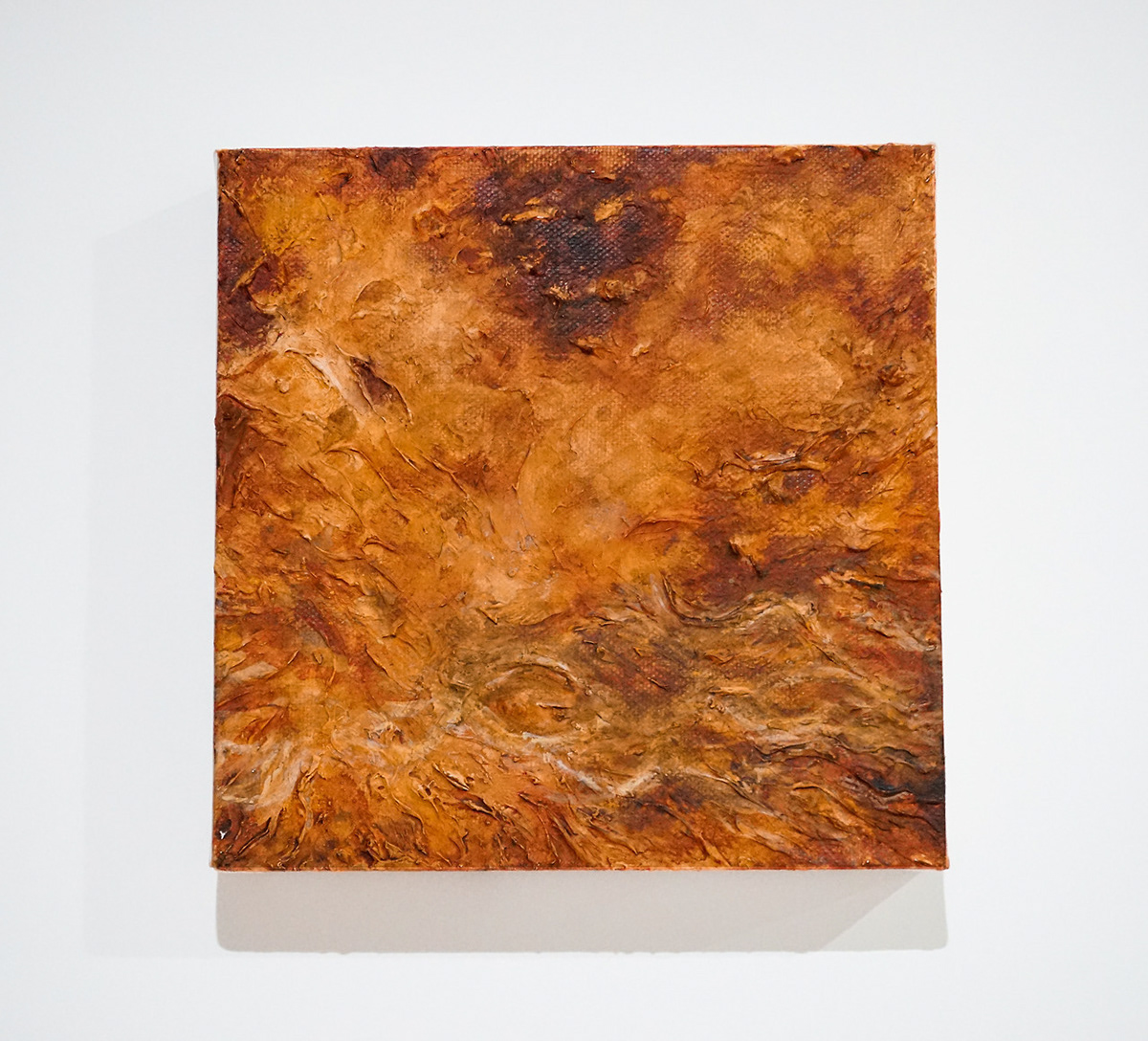 Kelly Stanford - Science Communicator and Artist - Textured Landscapes ...