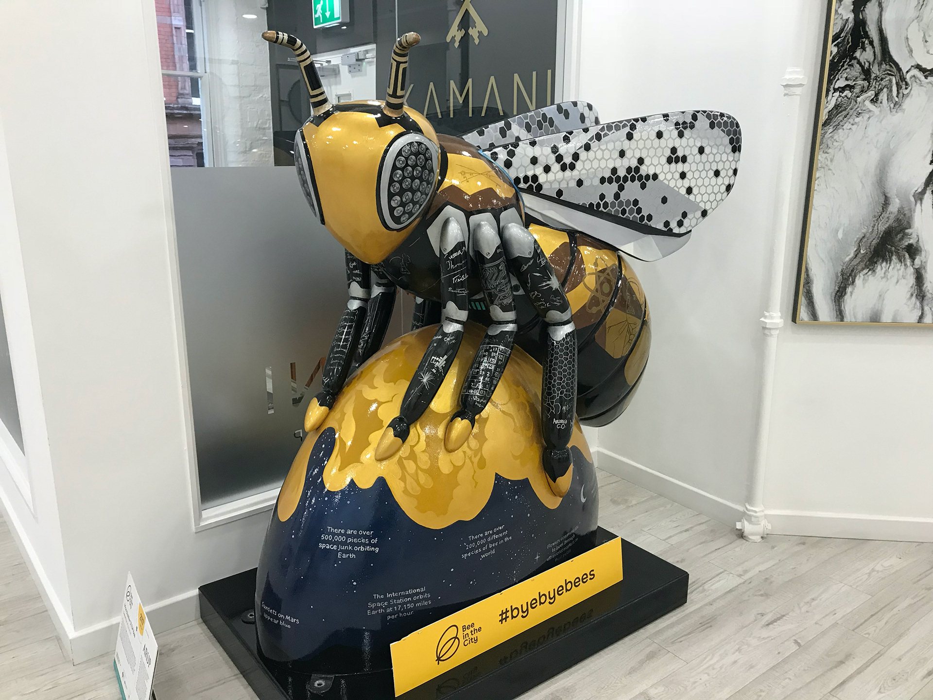 Kelly Stanford - Science Communicator and Artist - STEM Bee