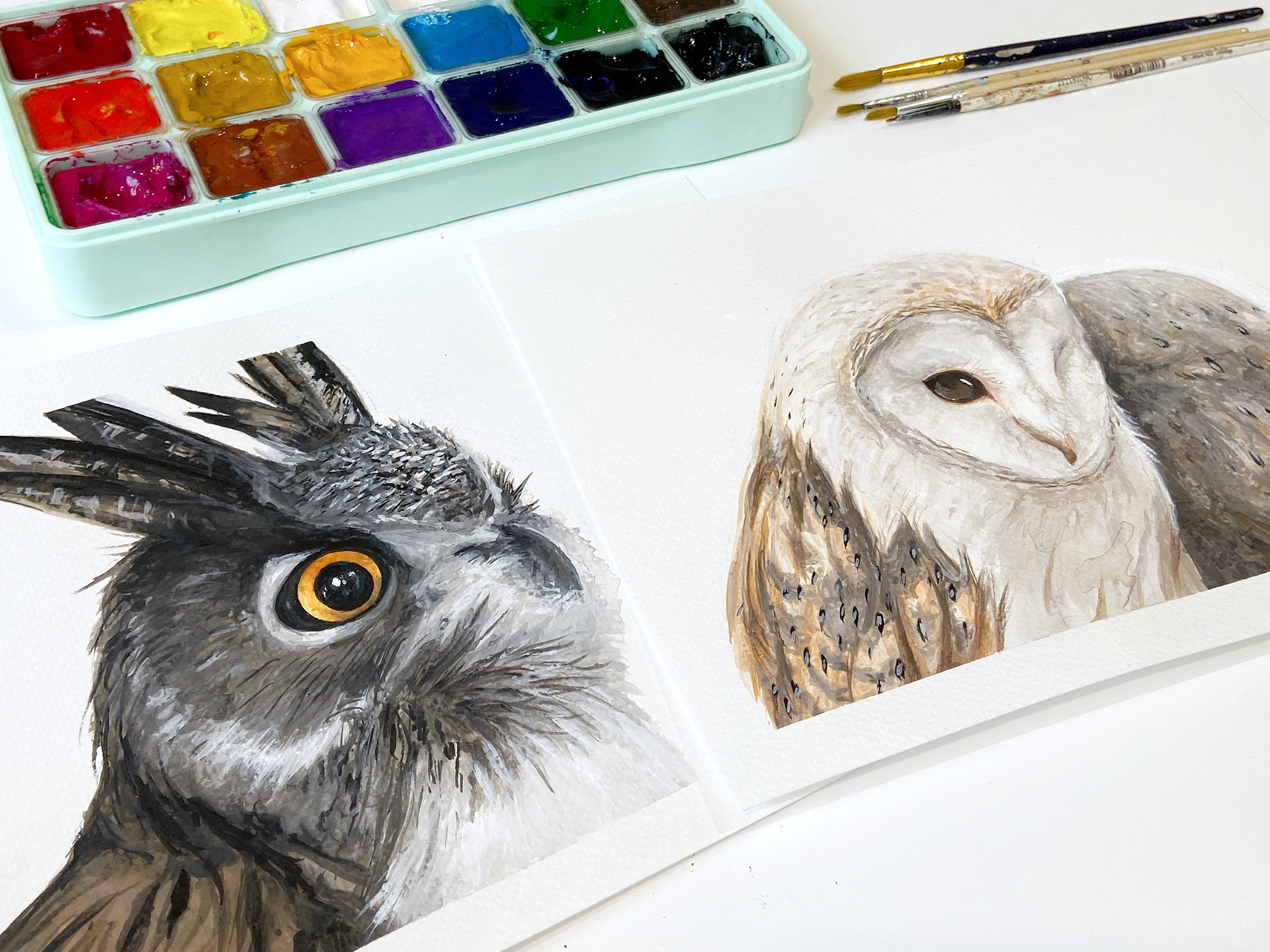 Kelly Stanford - Science Communicator and Artist - Other Work