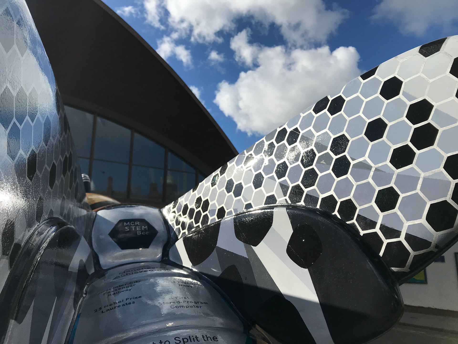 Kelly Stanford - Science Communicator and Artist - STEM Bee