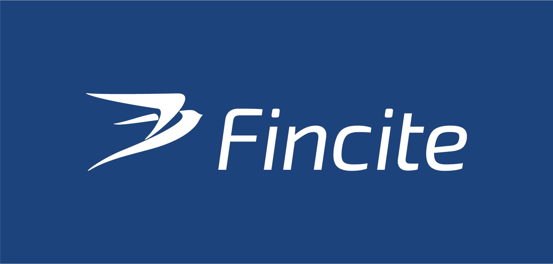 Fincite Corporate Design Guideline - Fincite Logo