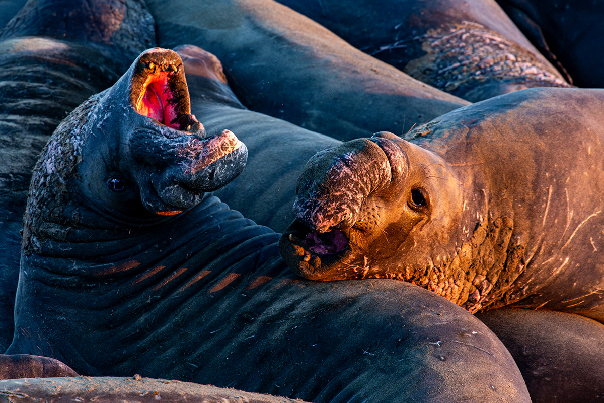 Kayleigh Ann Archbold