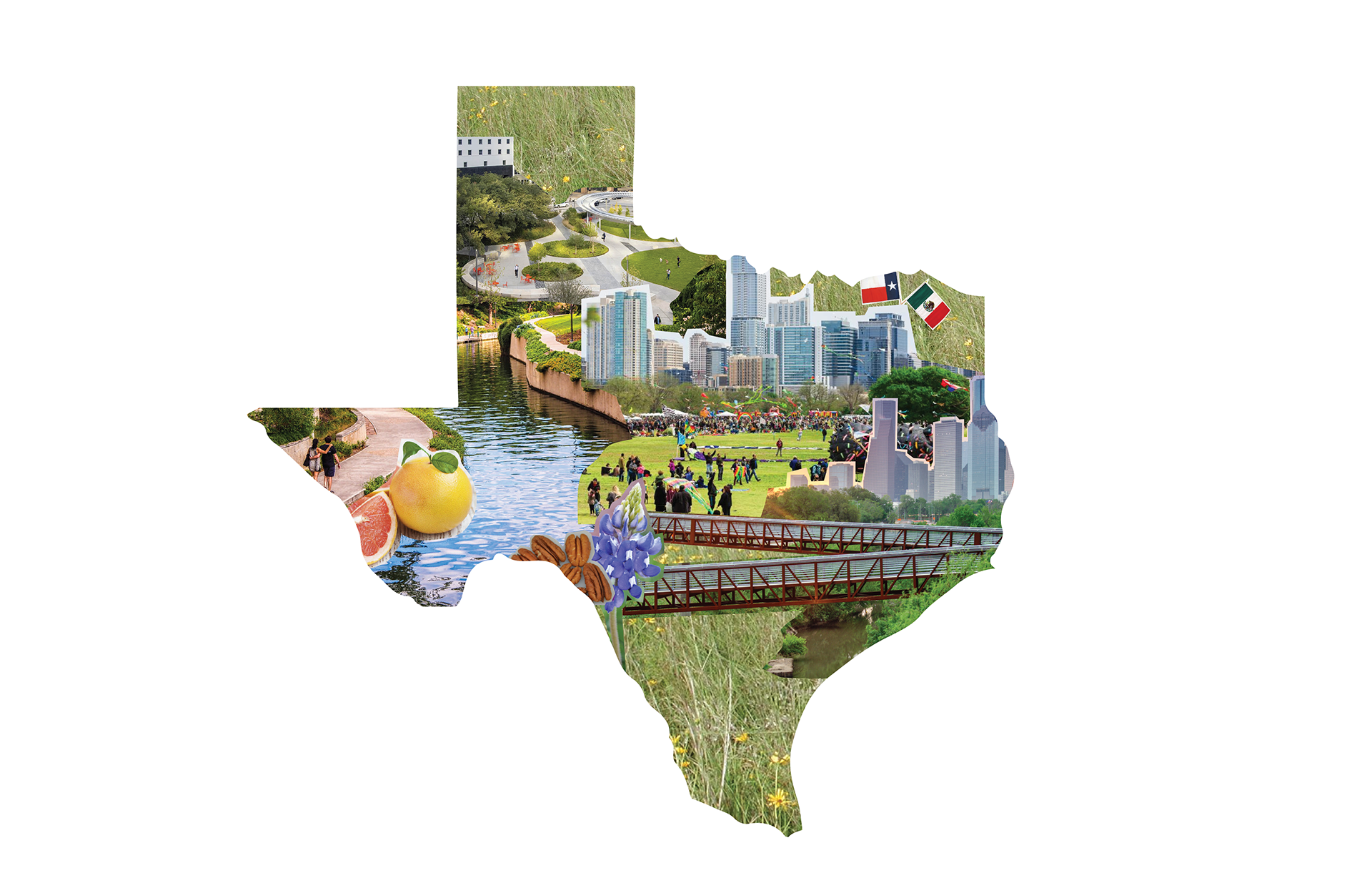 Texas DEI ASLA