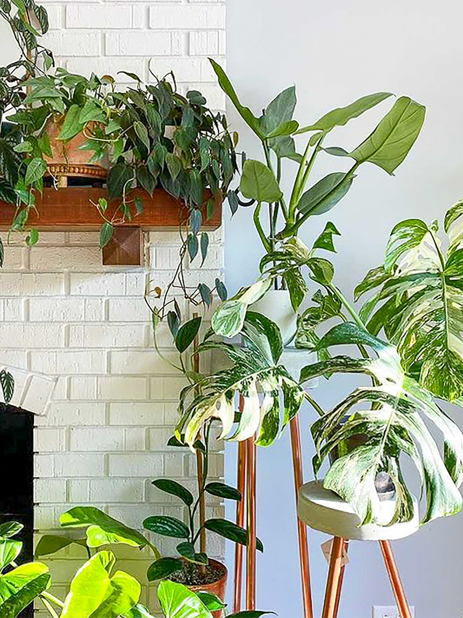 Stand Tall - The Copper Trio