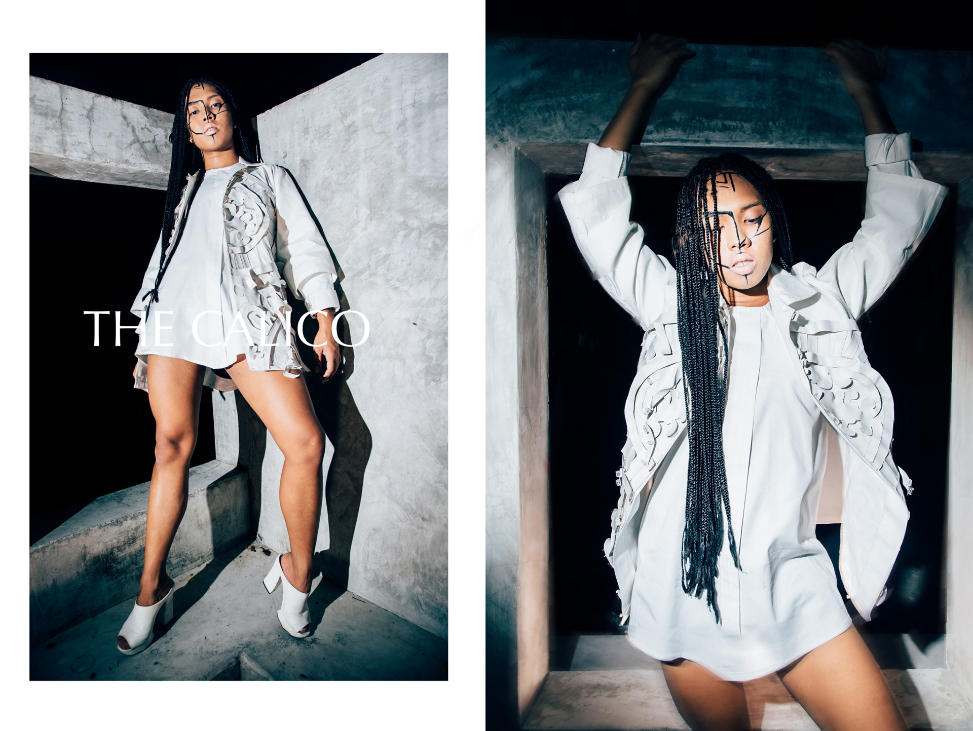 PHOTOBYWITITPONG - THE CALICO