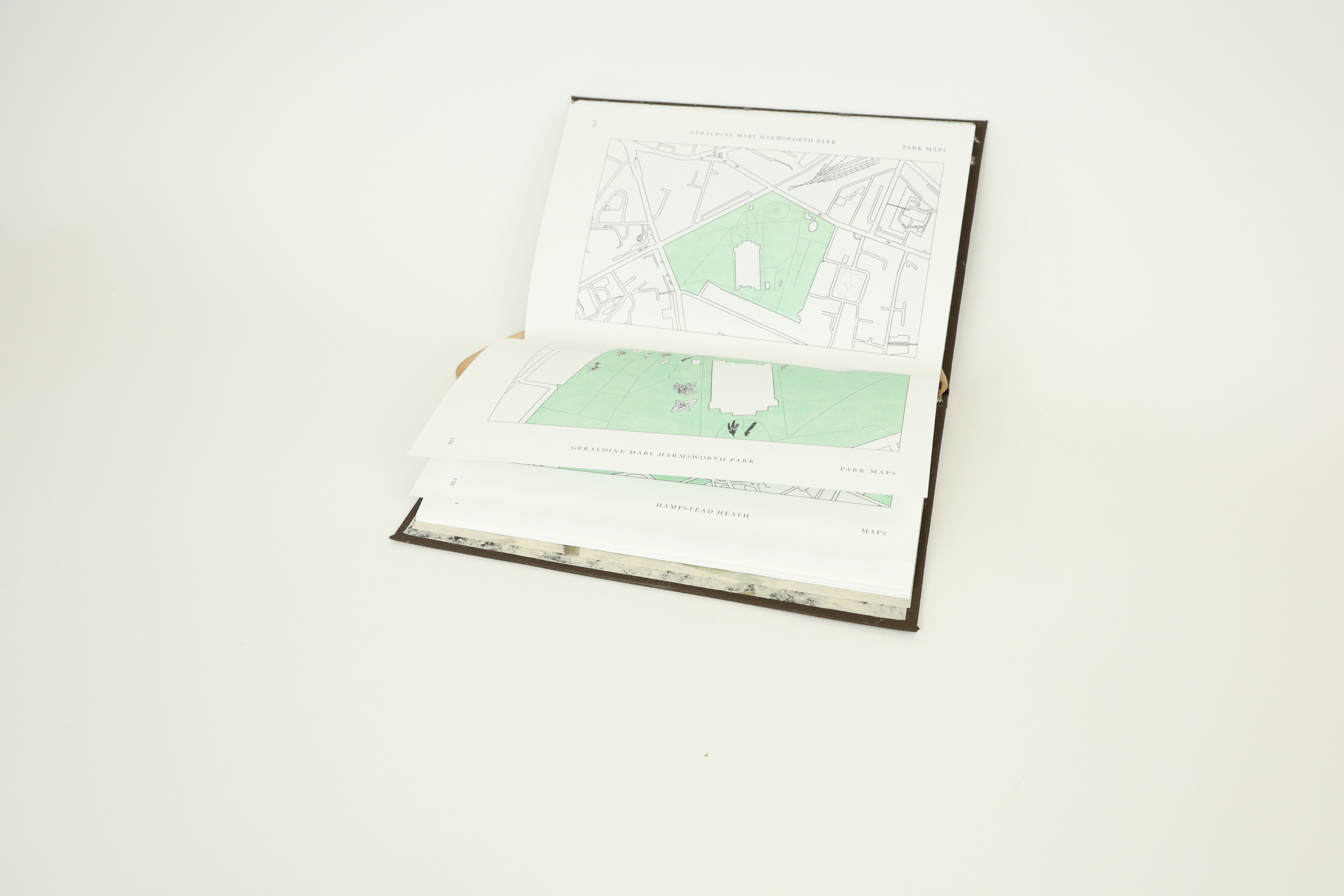 Duke Illustration Deep Dive