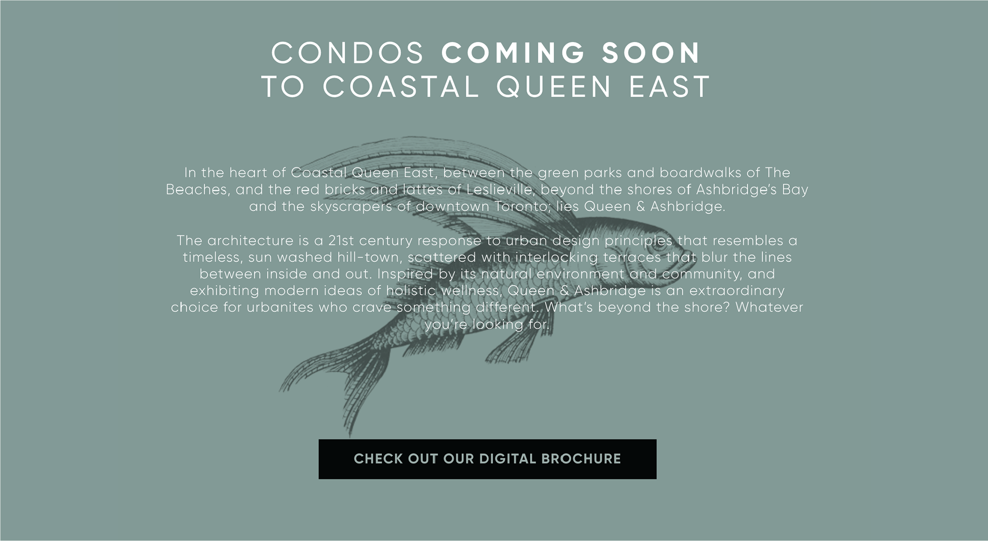 Alexis Killam - Queen & Ashbridge Condos