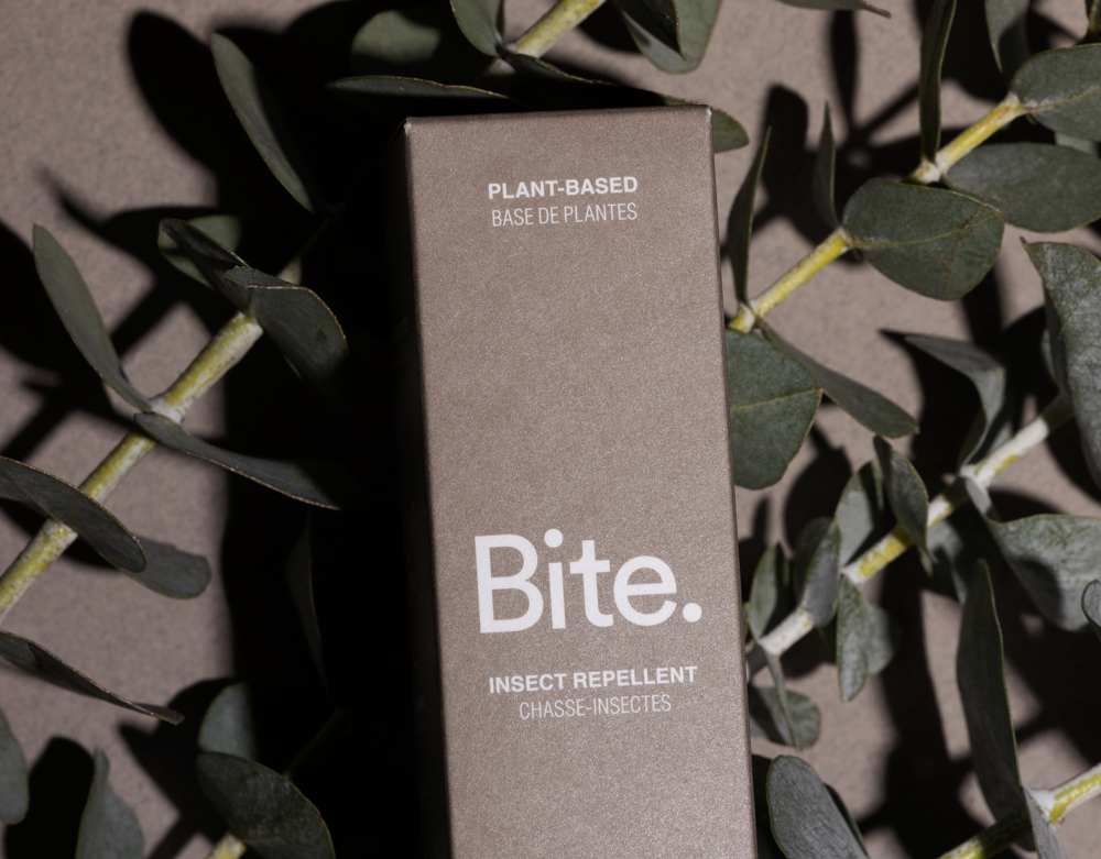 Alphabit Design | Freelance