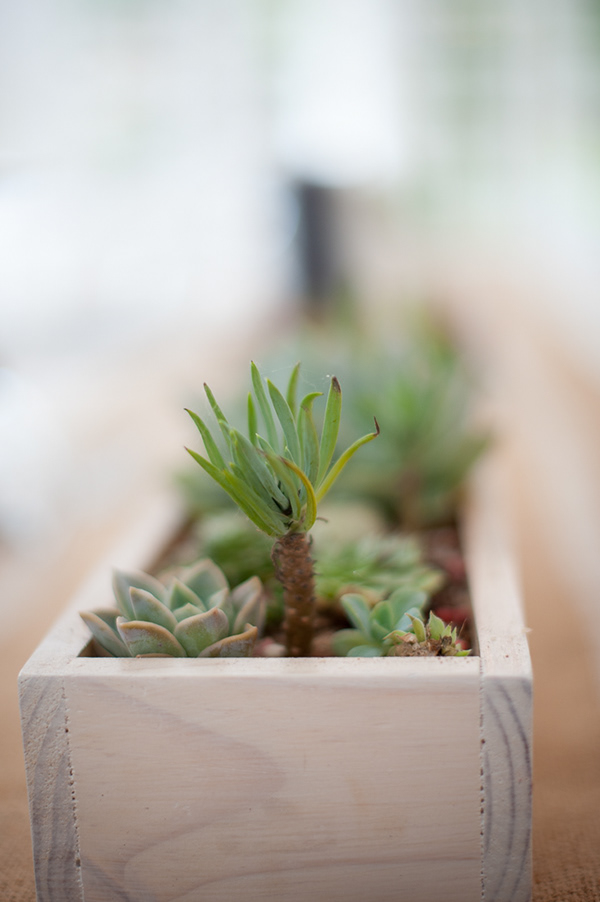 Ruby-Jayne Photography - Tandy and Glen