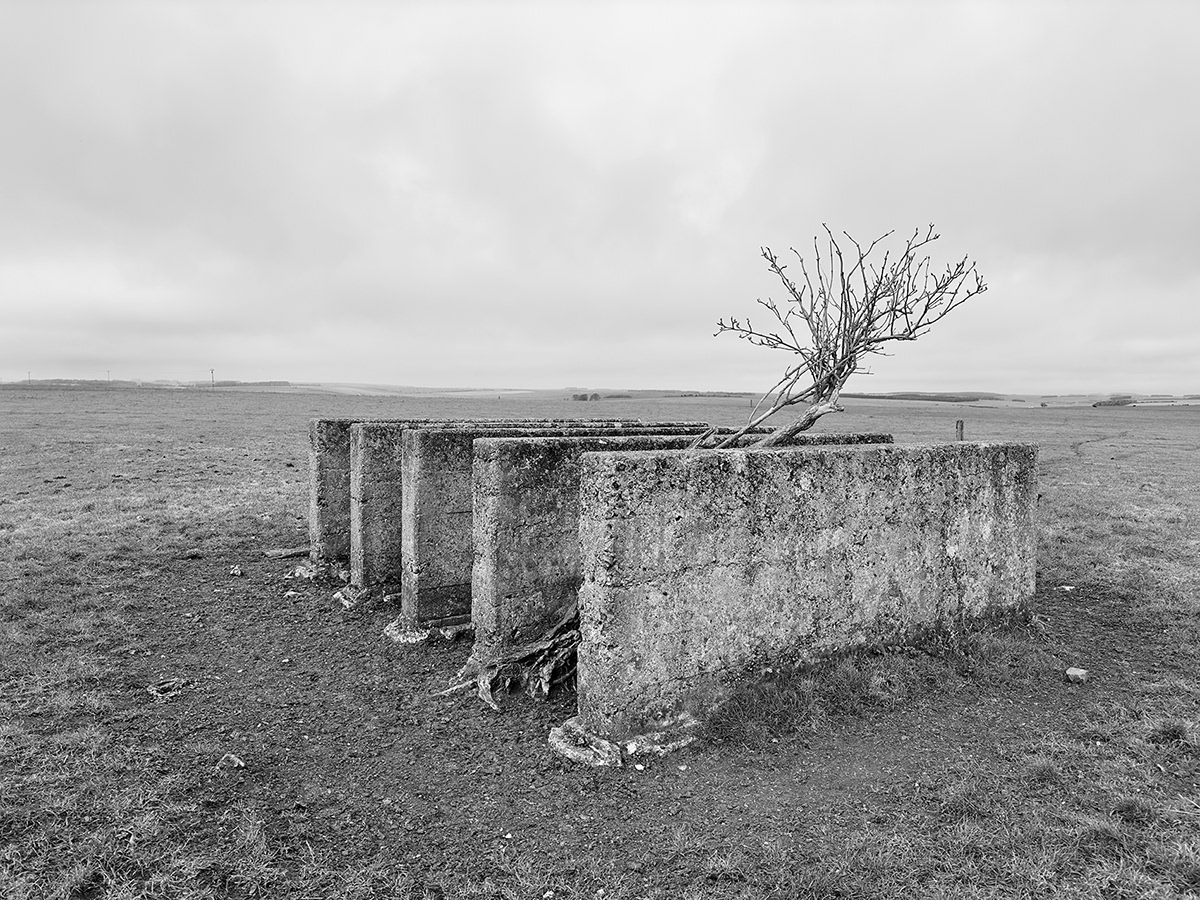 SPTA: A Landscape In Service - SPTA West: Imber and Warminster Ranges