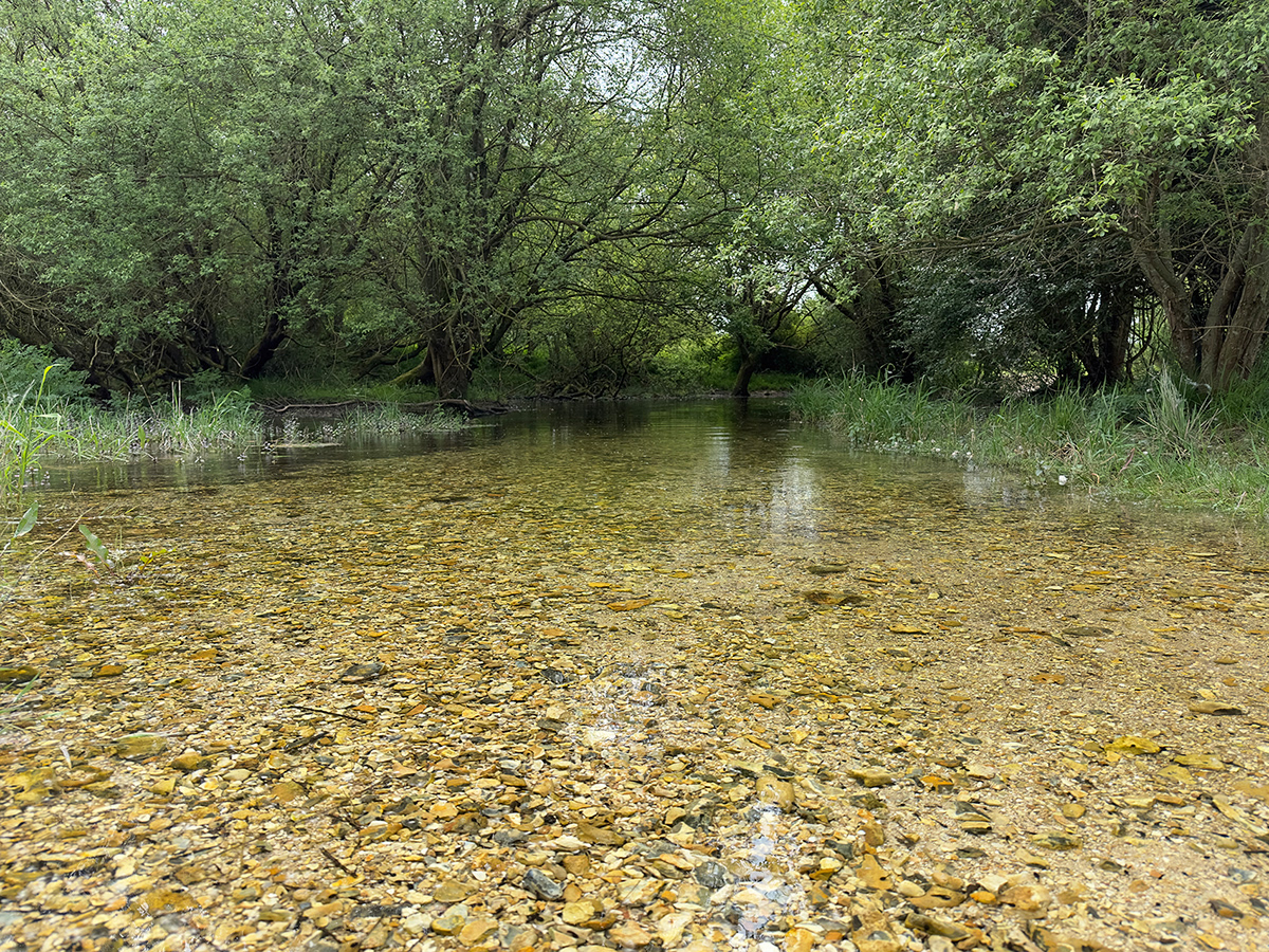 SPTA: A Landscape In Service - SPTA East: Bulford and Tidworth Ranges