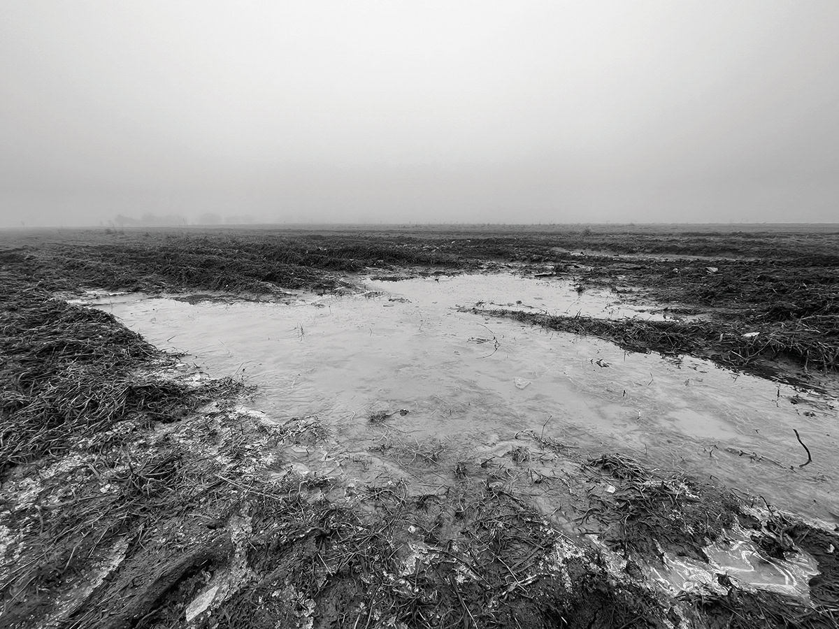 SPTA: A Landscape In Service - SPTA West: Imber and Warminster Ranges
