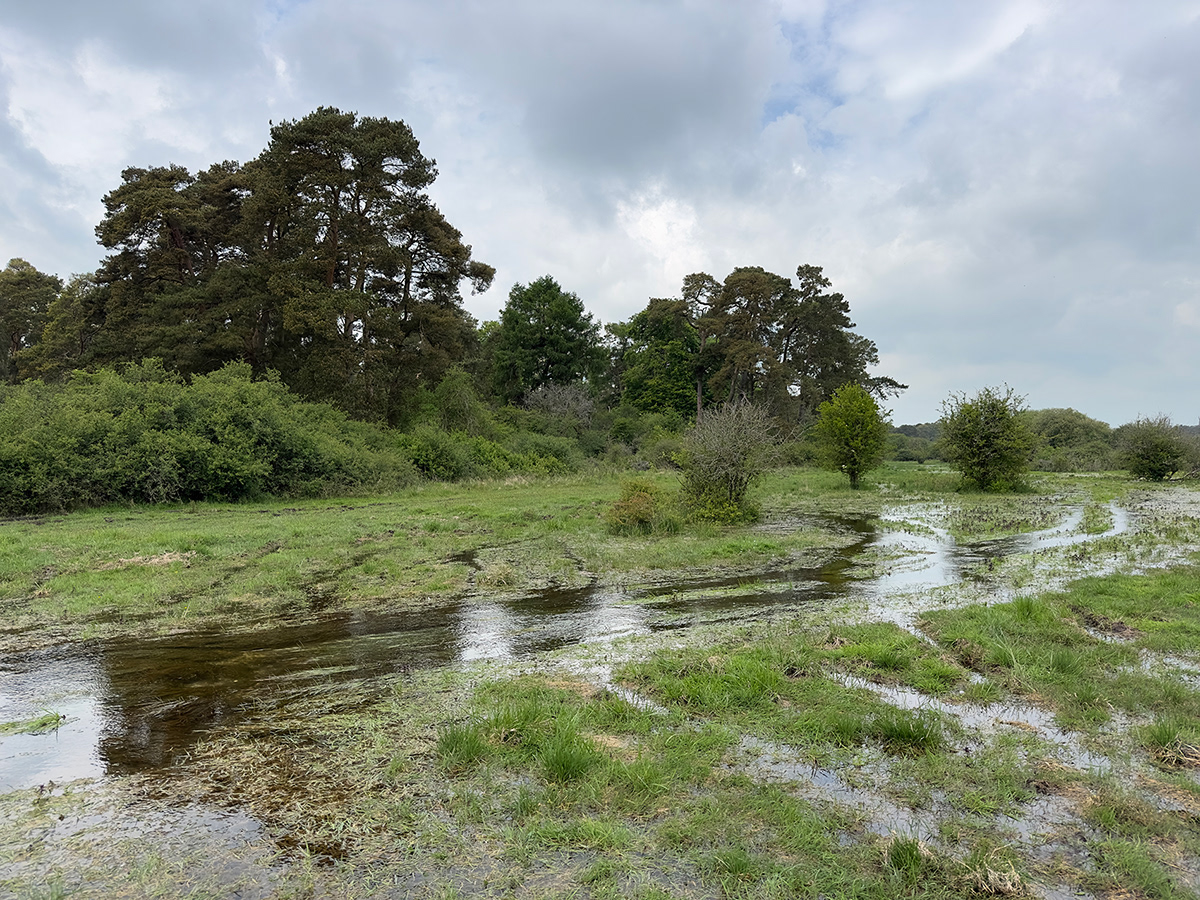 SPTA: A Landscape In Service - SPTA East: Bulford and Tidworth Ranges