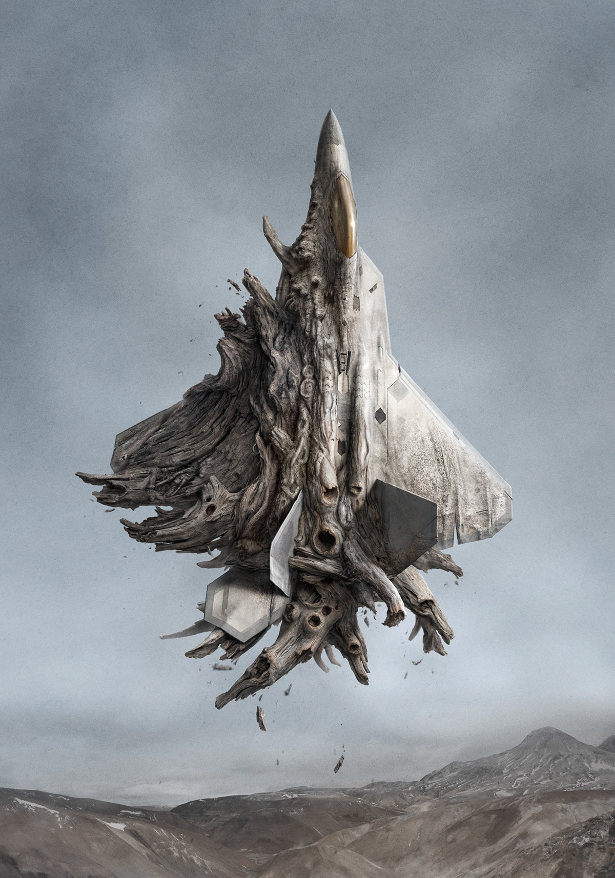 Adolf Lachman - Zdřevnatění F-22