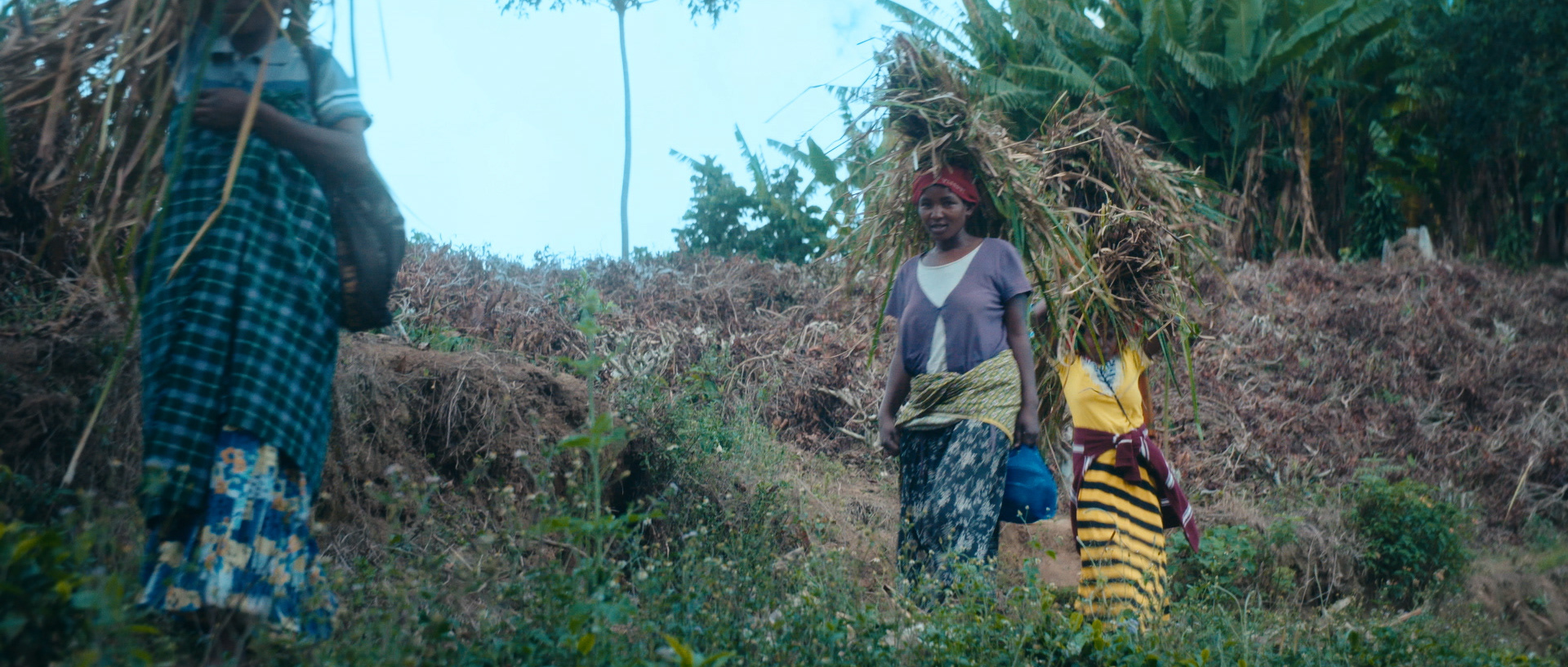 MARK A. KLASSEN | PORTFOLIO - RAISING THE VILLAGE