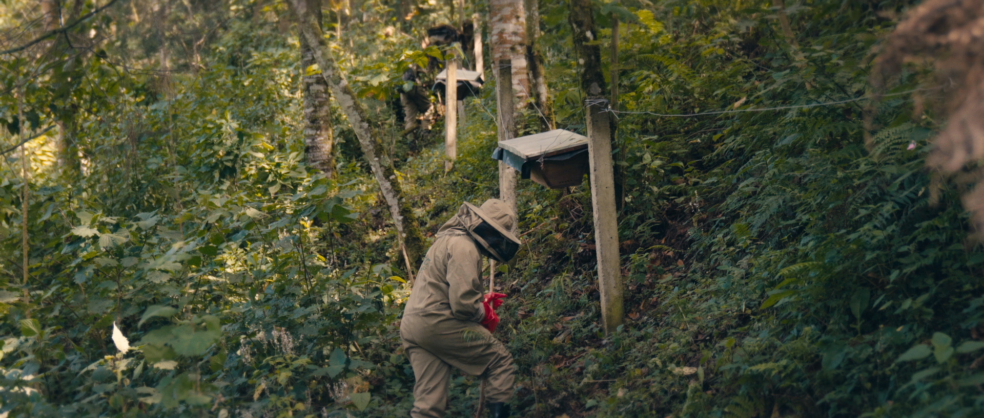 MARK A. KLASSEN | PORTFOLIO - RAISING THE VILLAGE