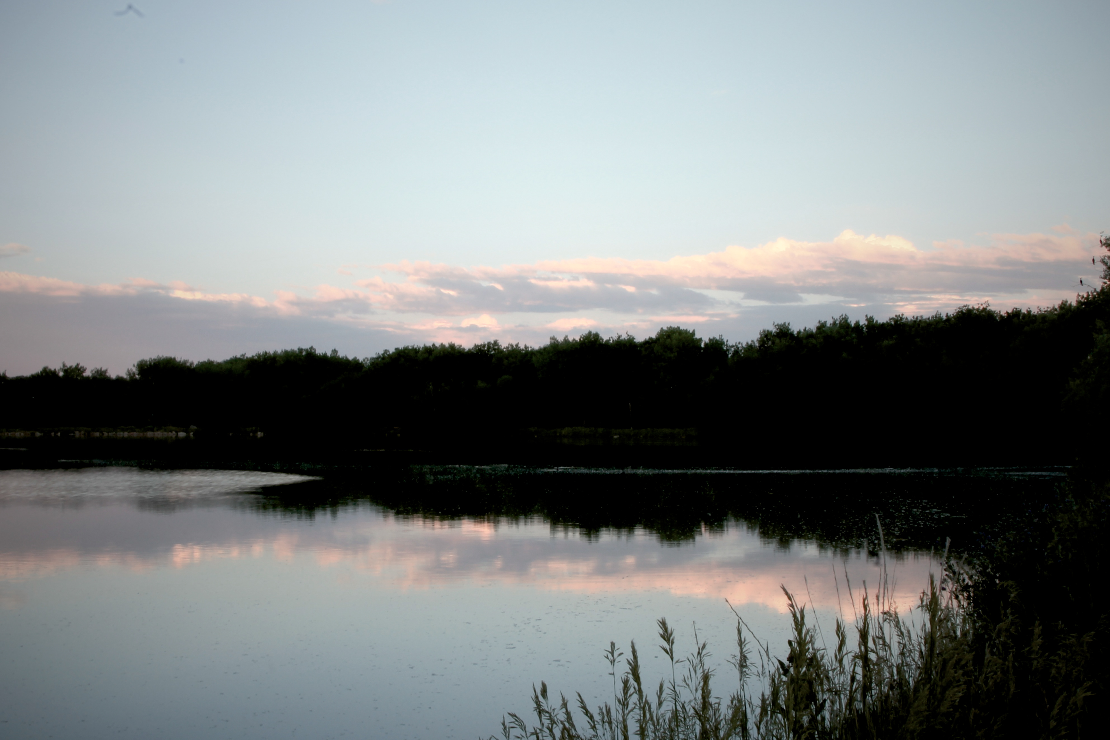 Mike Hedrick - Lake at Dusk