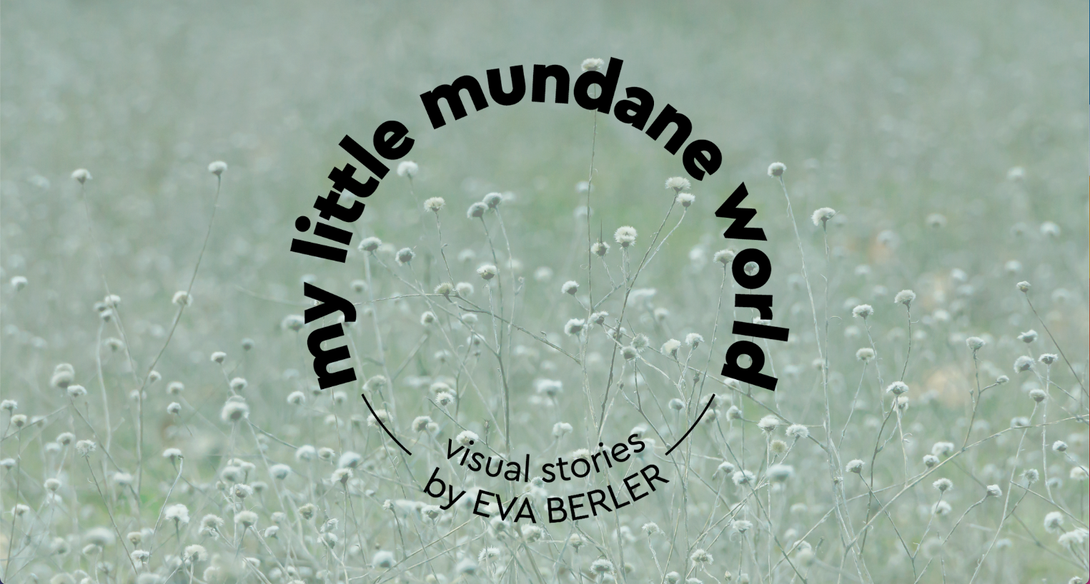 my little mundane world - visual stories by Eva Berler - Nature's designs