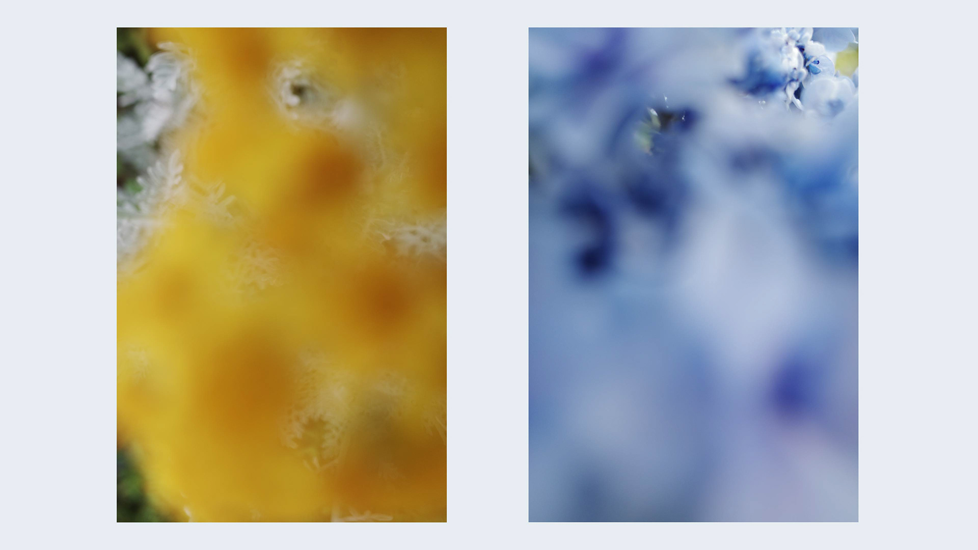 SONE DESIGN - FLADATION