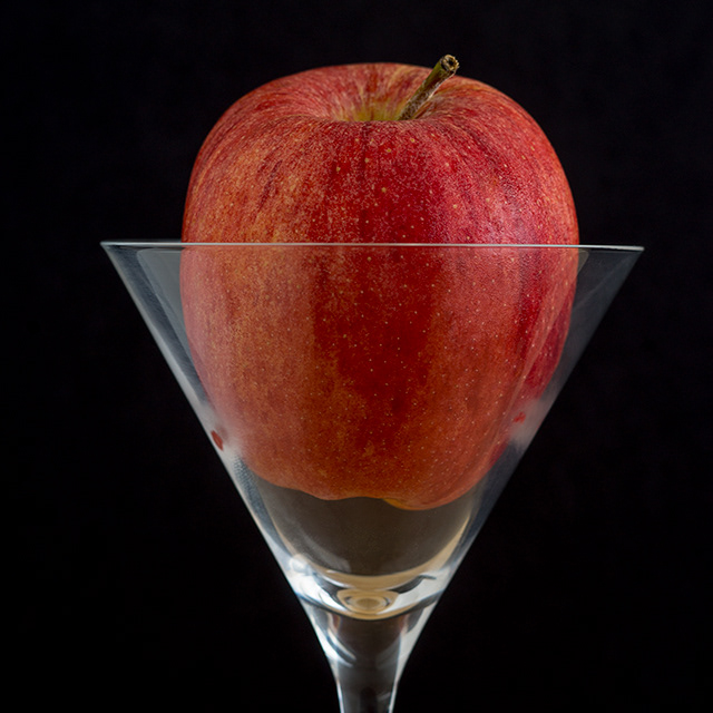 Dale Rhodes Photography